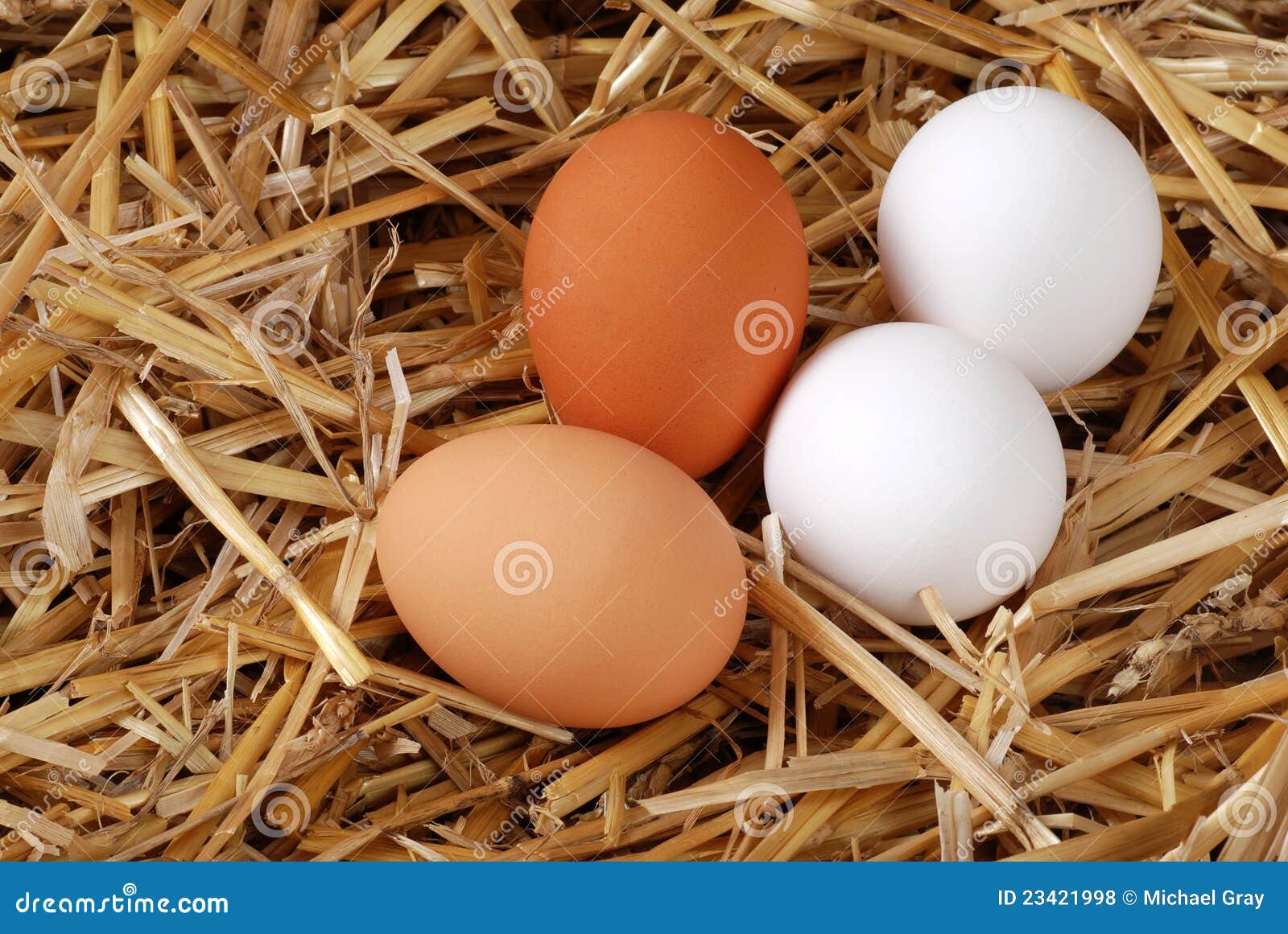 Brown Und Weiße Eier Im Stroh Stockfoto - Bild von frisch, eierschale ...