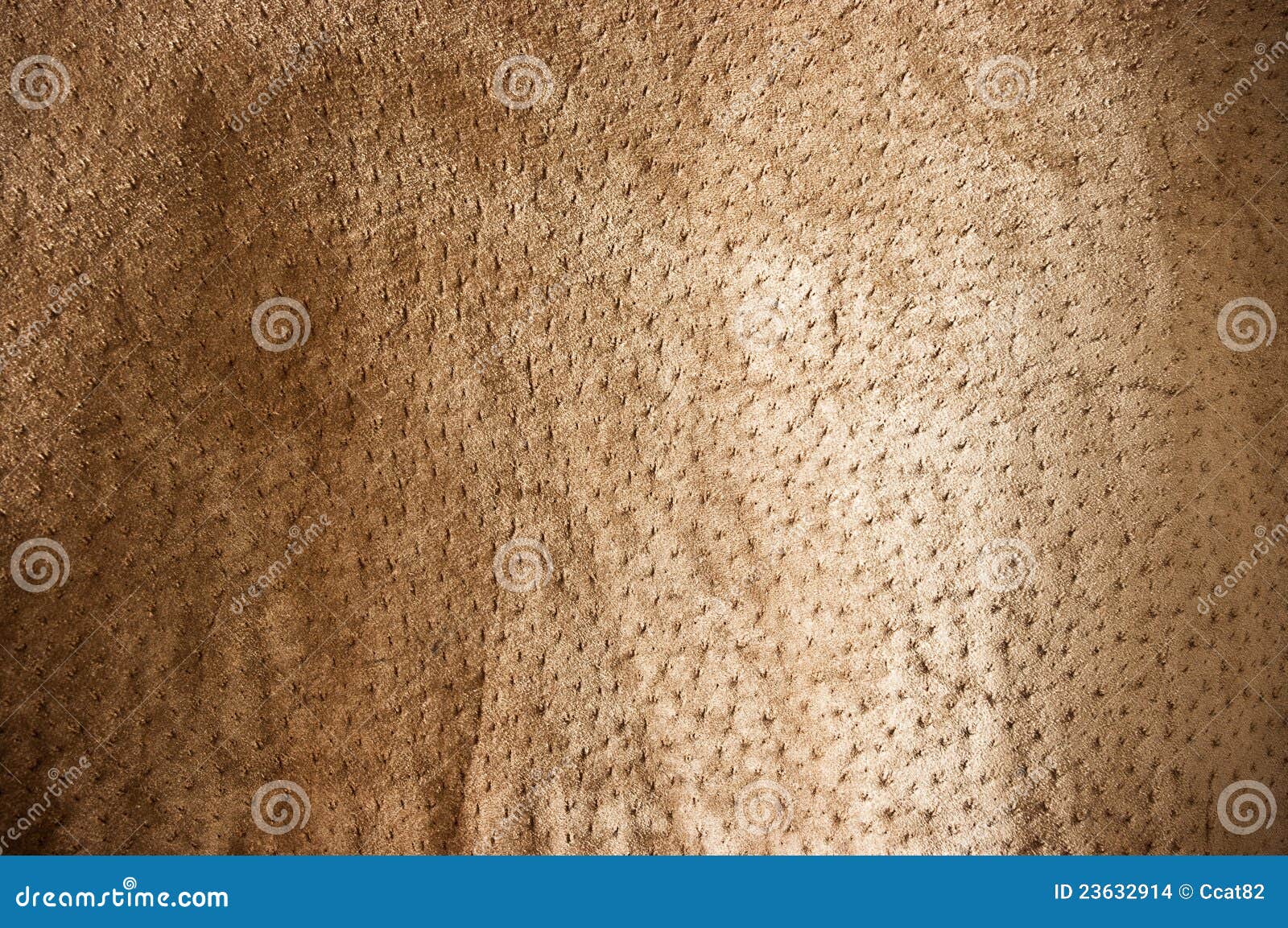 Brown undulating stock photo. Image of fake, detail, abstract - 23632914