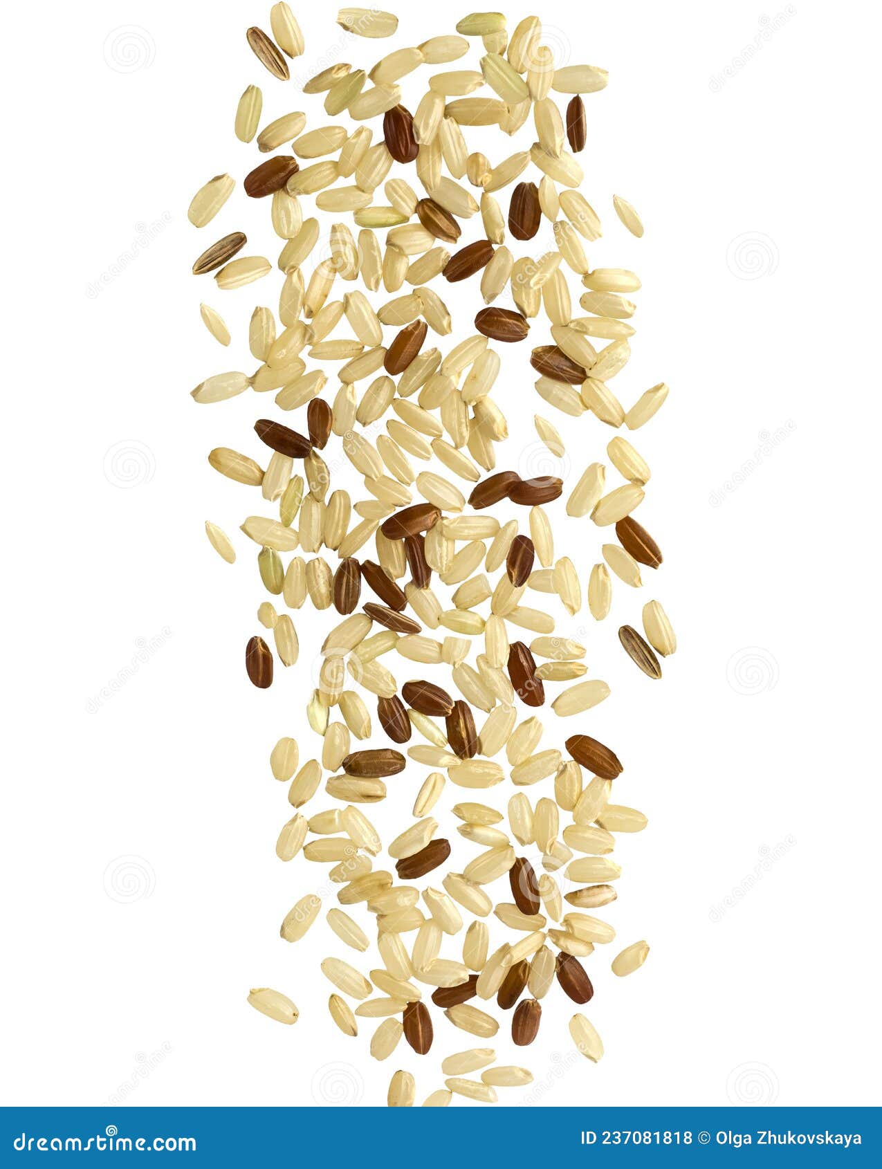 Brown Unpeeled Rice Falls Down Isolated on White Stock Photo - Image of ...