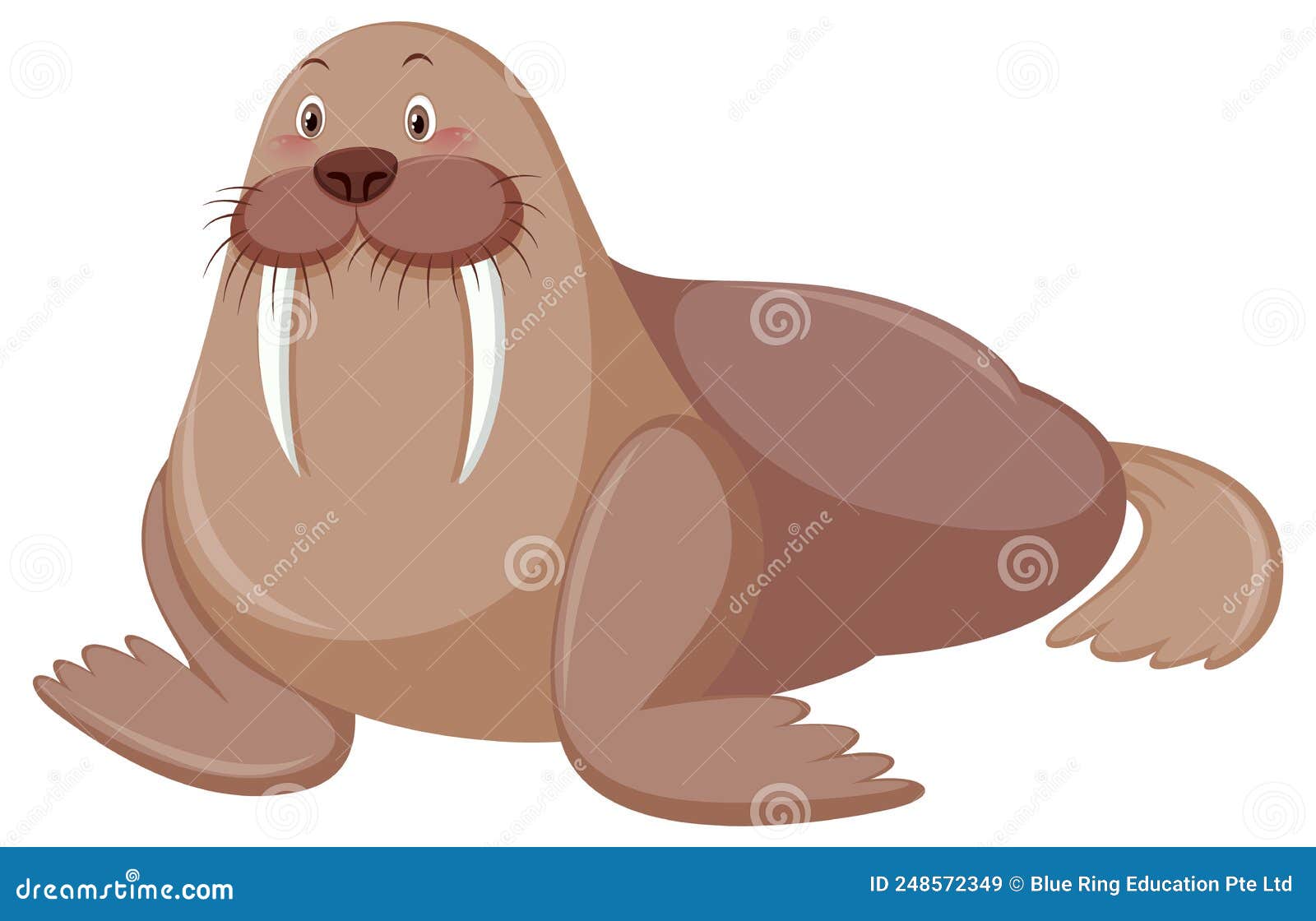 A Brown Walrus in Cartoon Style Stock Vector - Illustration of flippers ...