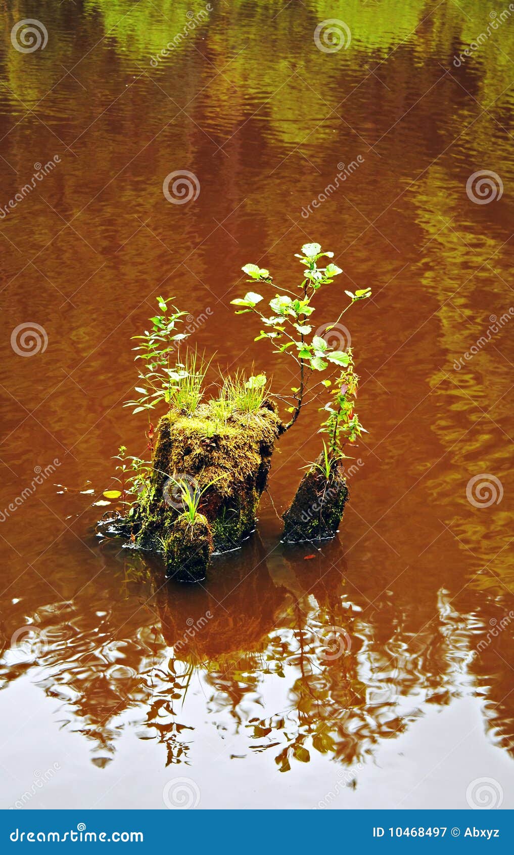 Brown water stock image. Image of beautiful, nature, lake - 10468497