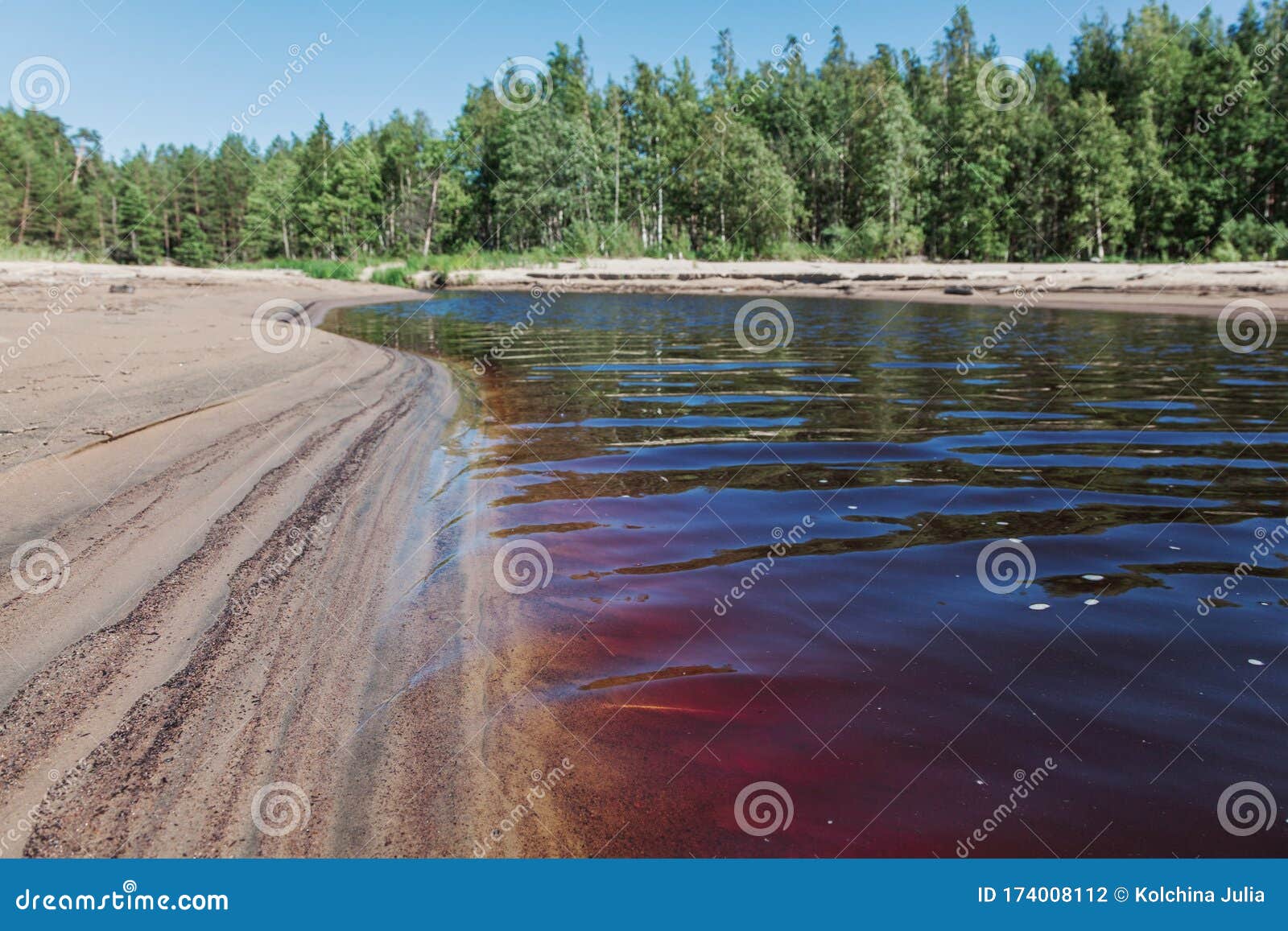 Brown Water in the River on a Summer Day Stock Photo - Image of brown ...