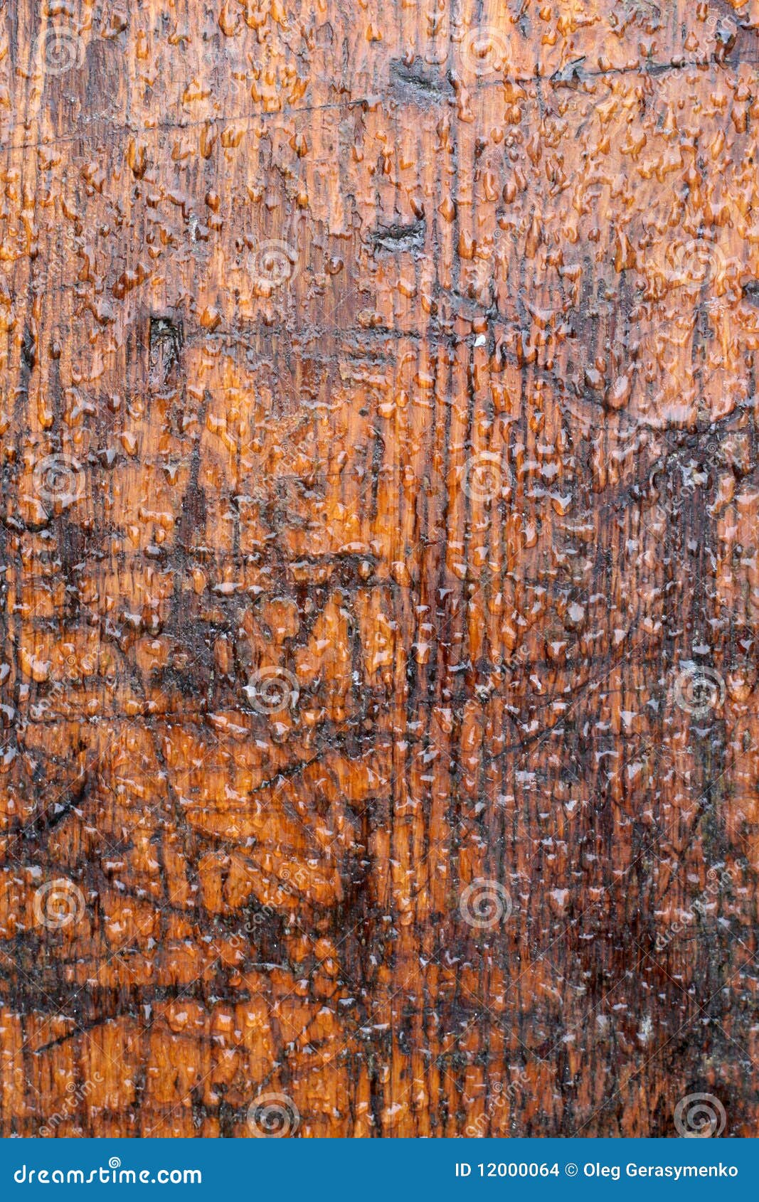Brown weathered timber stock photo. Image of autumn, color - 12000064