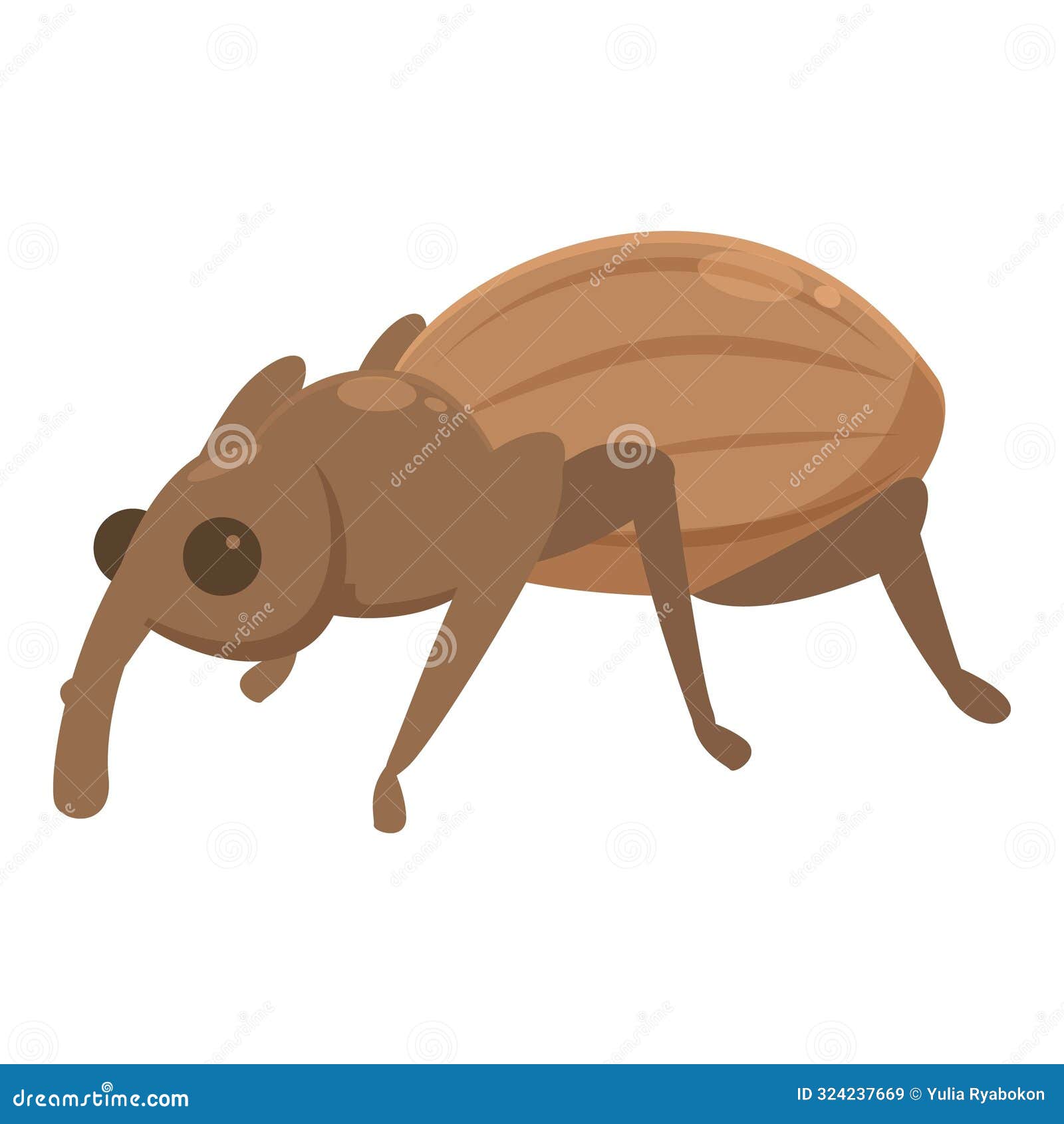 Weevil Bug, Top View. Colorful Spotted Insect. Spotty Beetle With Long ...