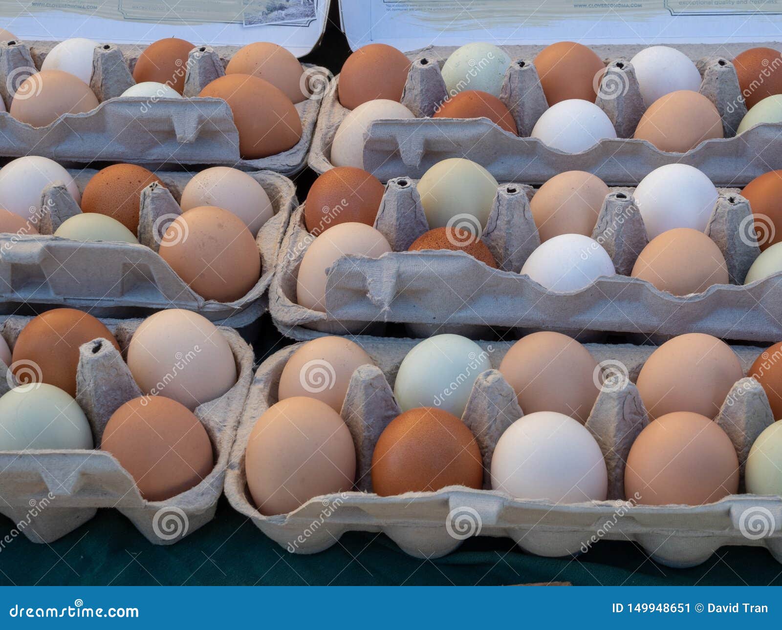 Brown and White Eggs Sitting in Dozen Count Cartons Sitting Stock Image ...
