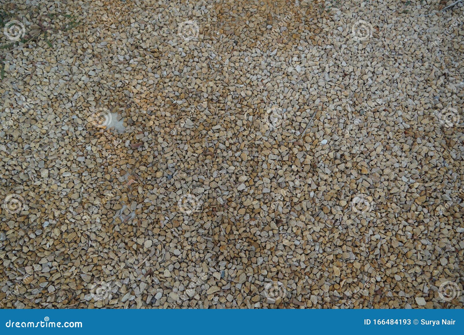 Brown and White Pebble Stone Texture for Background. the Texture of ...