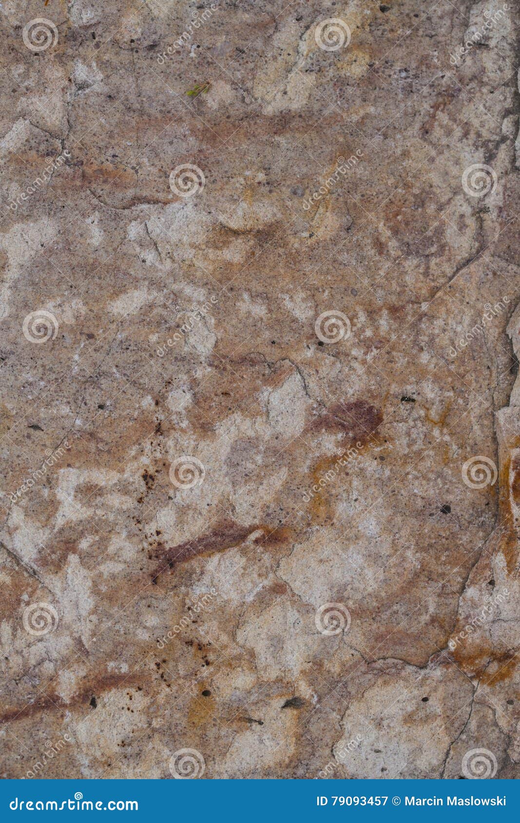 Brown and White Stone, Close-up Stock Image - Image of jeweler ...