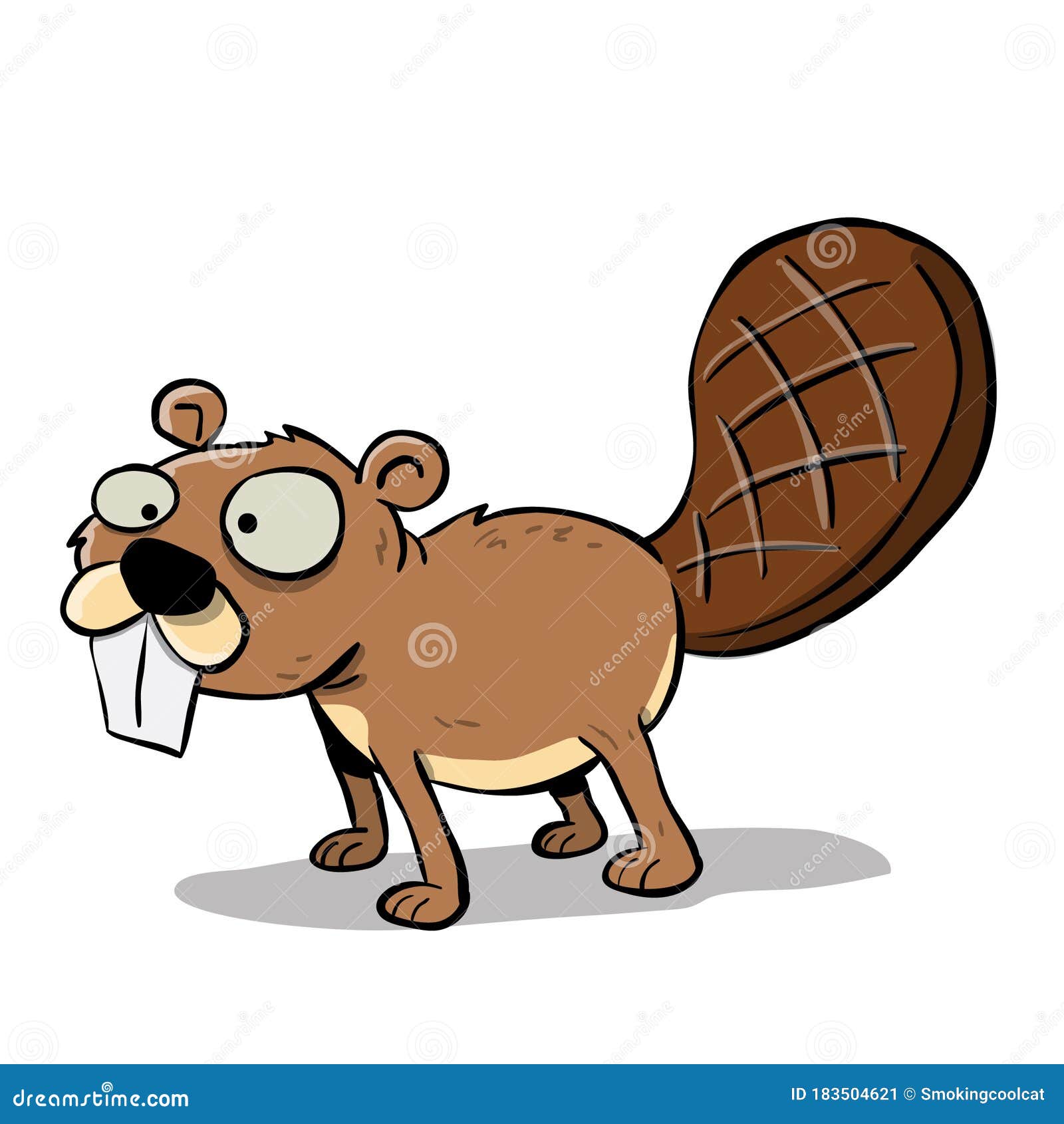Brown Wild Beaver with Big Teeth and Tail Stock Illustration ...