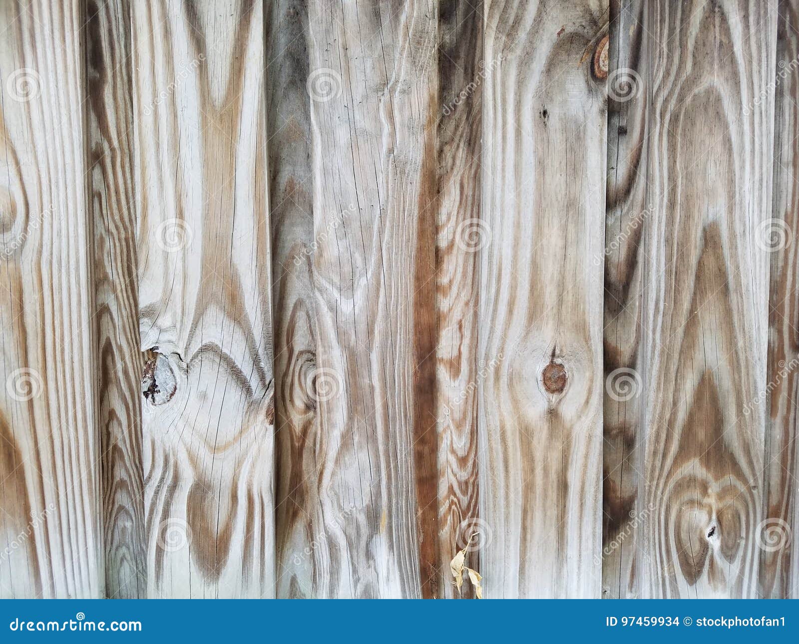 Brown wood fence stock photo. Image of lumber, trunk - 97459934