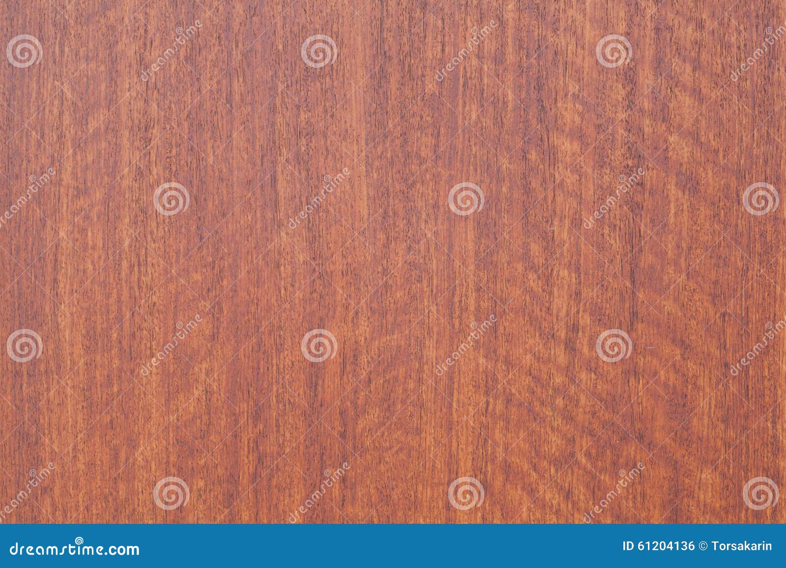 Brown Wood Floor Texture and Seamless Stock Photo - Image of flooring ...