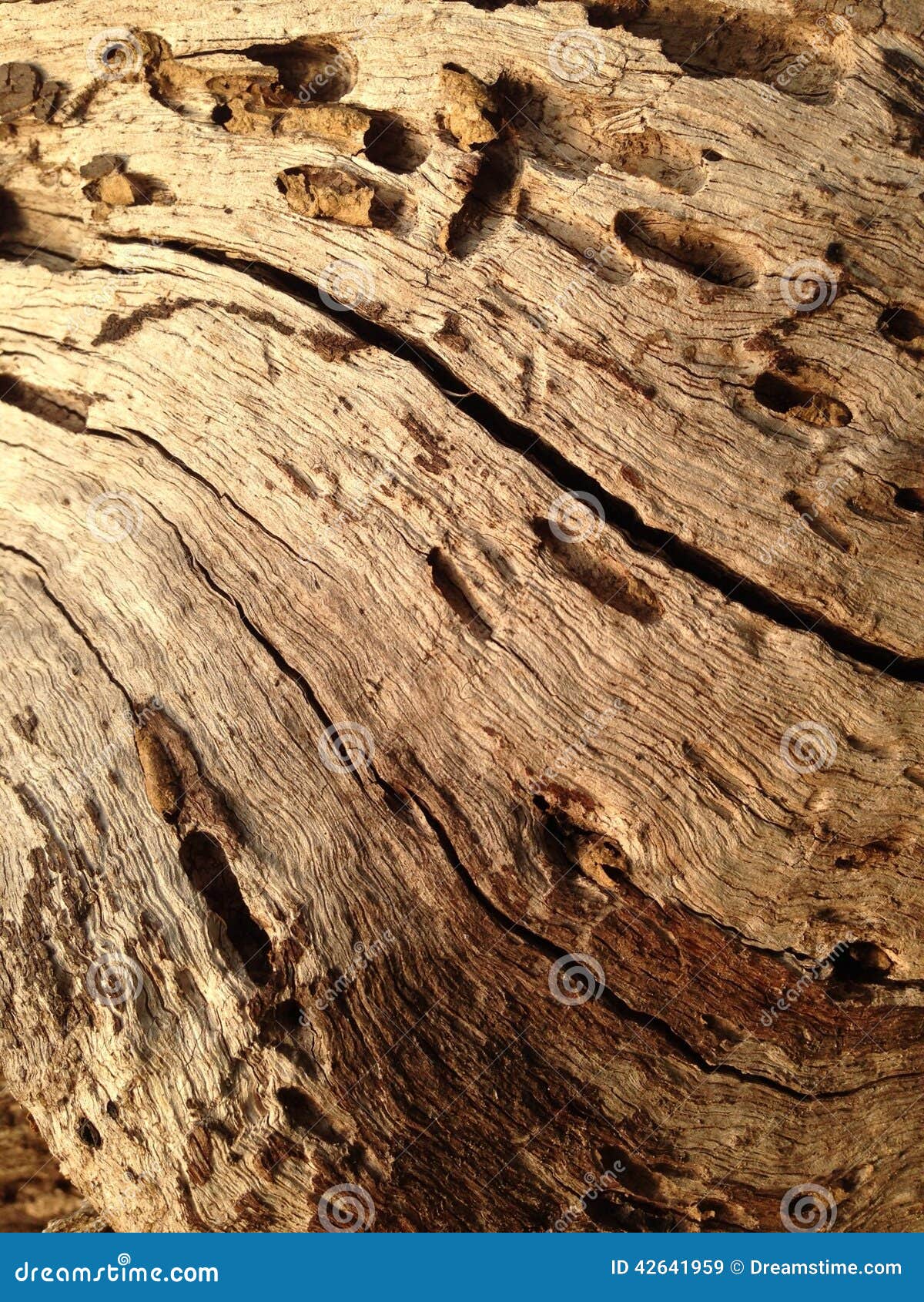 Brown wood stock image. Image of wood, pattern, wallpaper - 42641959