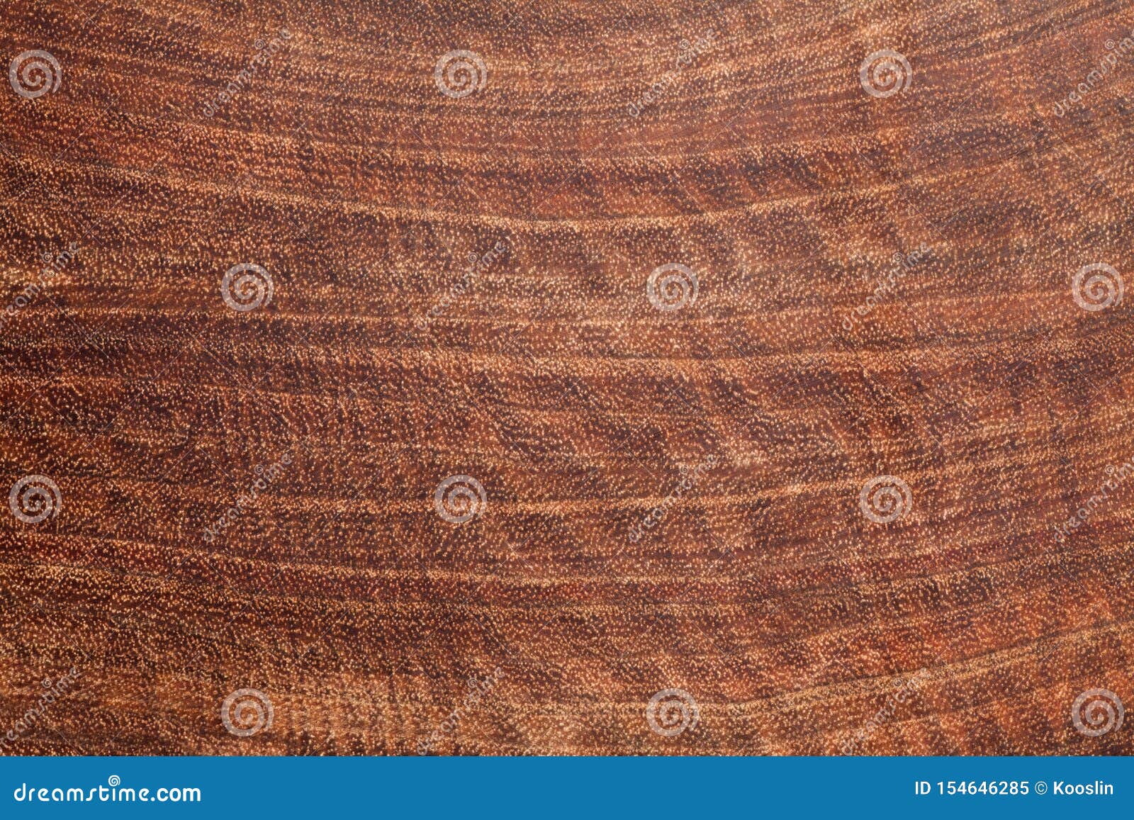 Brown ironwood texture stock image. Image of ironwood - 154646285