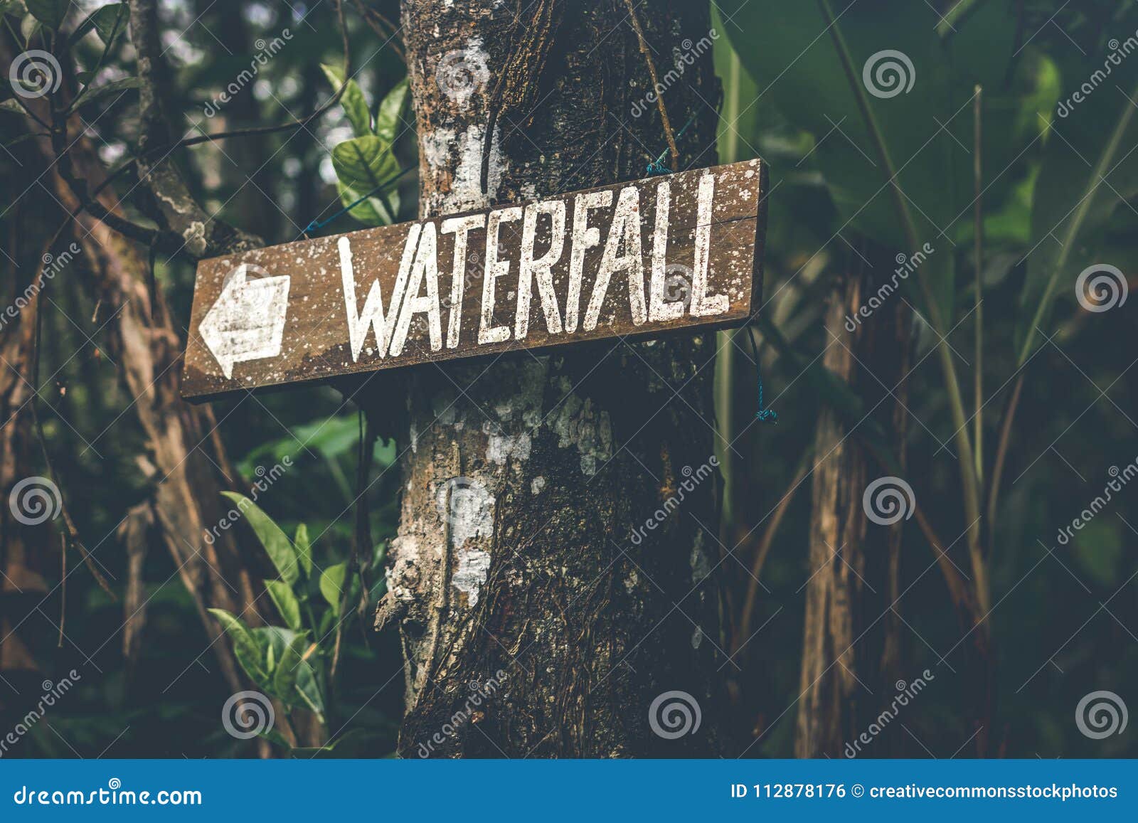 Brown Wooden Waterfall Direction Sign Placed On Brown Tree Bark Picture ...