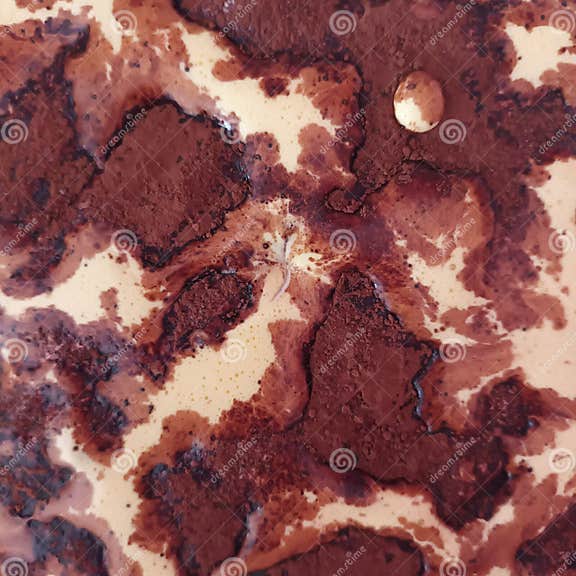 Brown and Yellow Bicolor Cake Texture Stock Image - Image of bicolor ...