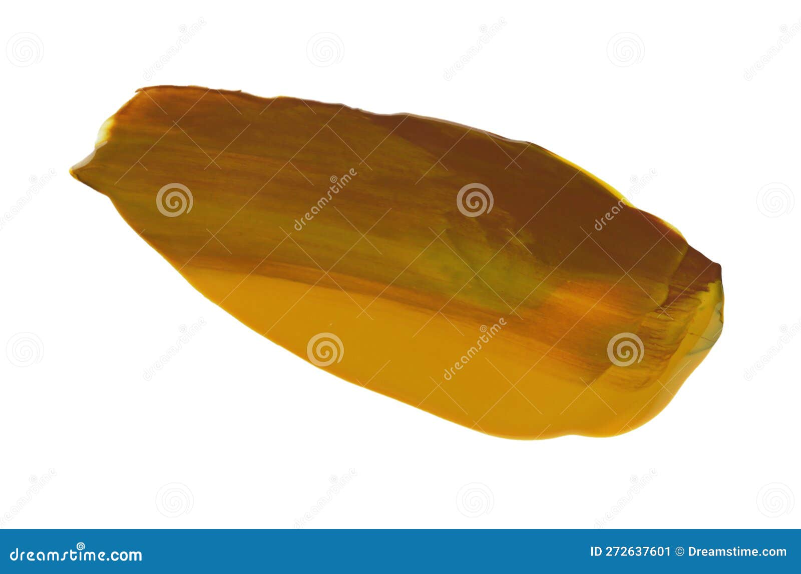 Brown and Yellow Paint Samples on White Background, Top View Stock ...