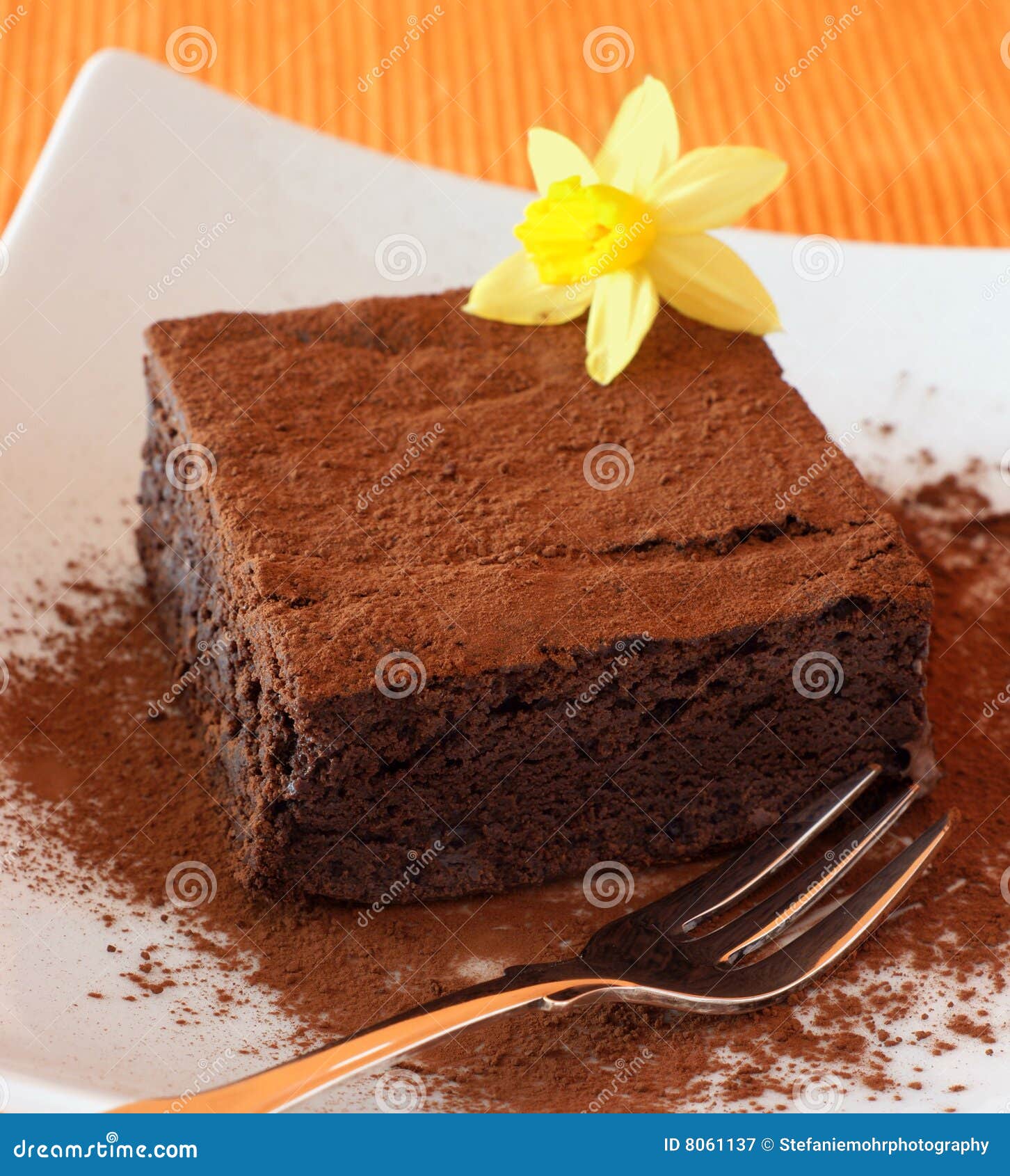 Brownie stock image. Image of flower, brownie, sweet, chewy - 8061137