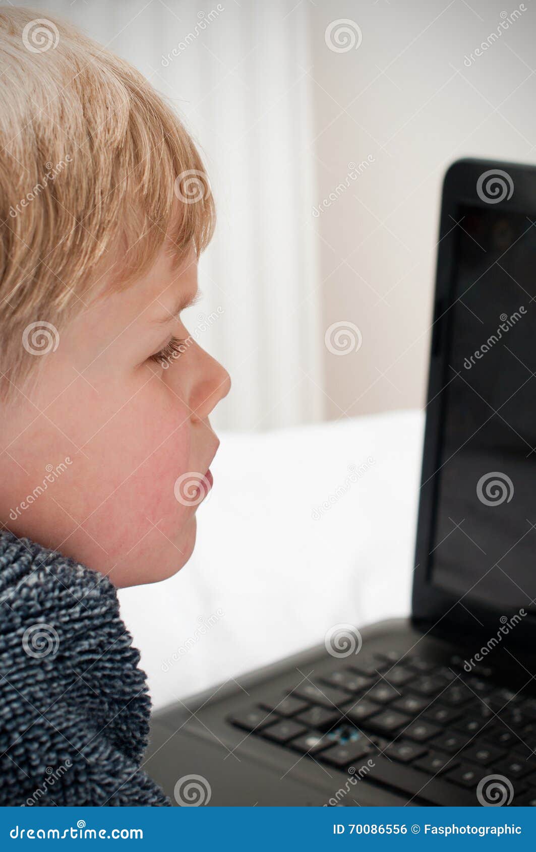 Browsing the internet stock photo. Image of concentrated - 70086556