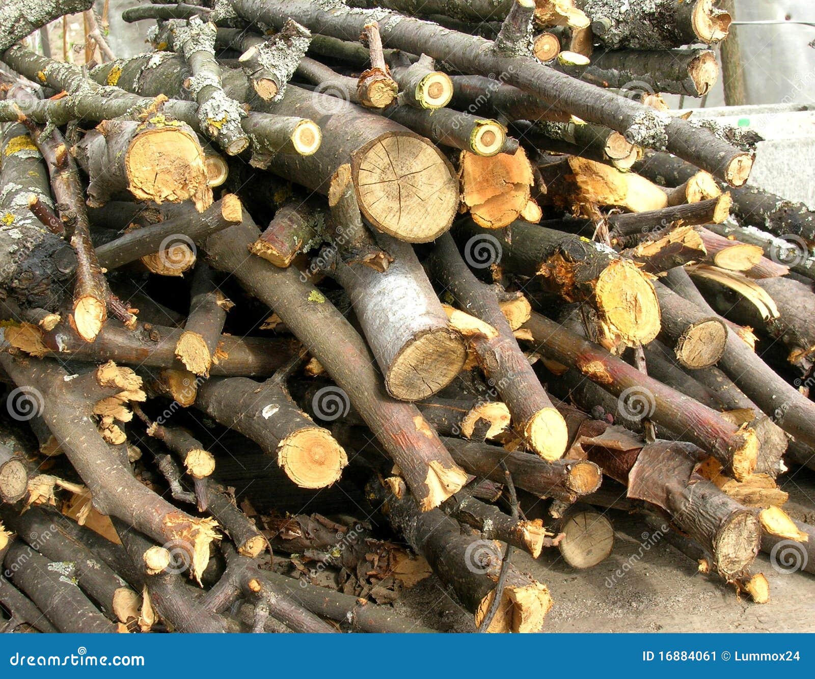 Broza imagen de archivo. Imagen de wooden, imagen, broza - 16884061