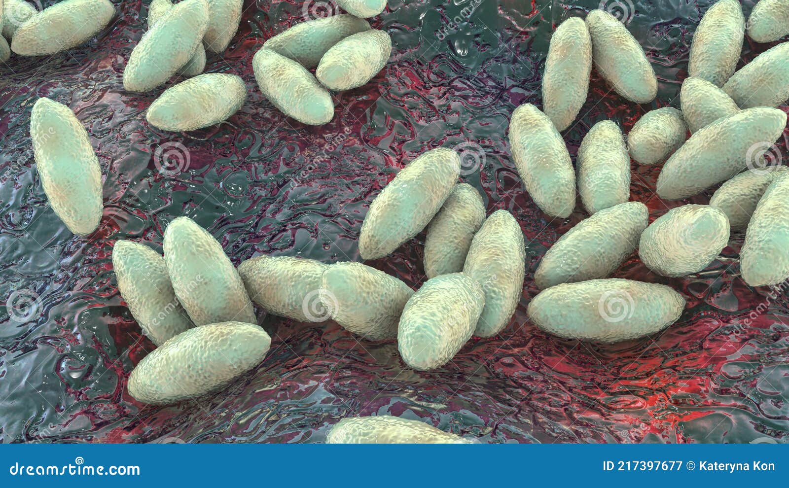 Brucella Bacteria, the Causative Agent of Brucellosis, 3D Illustration ...