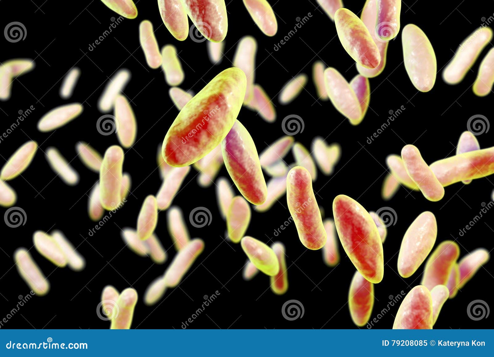 Pleomorphic. Bacteria Classification. Irregular Shapes Of Bacteria ...