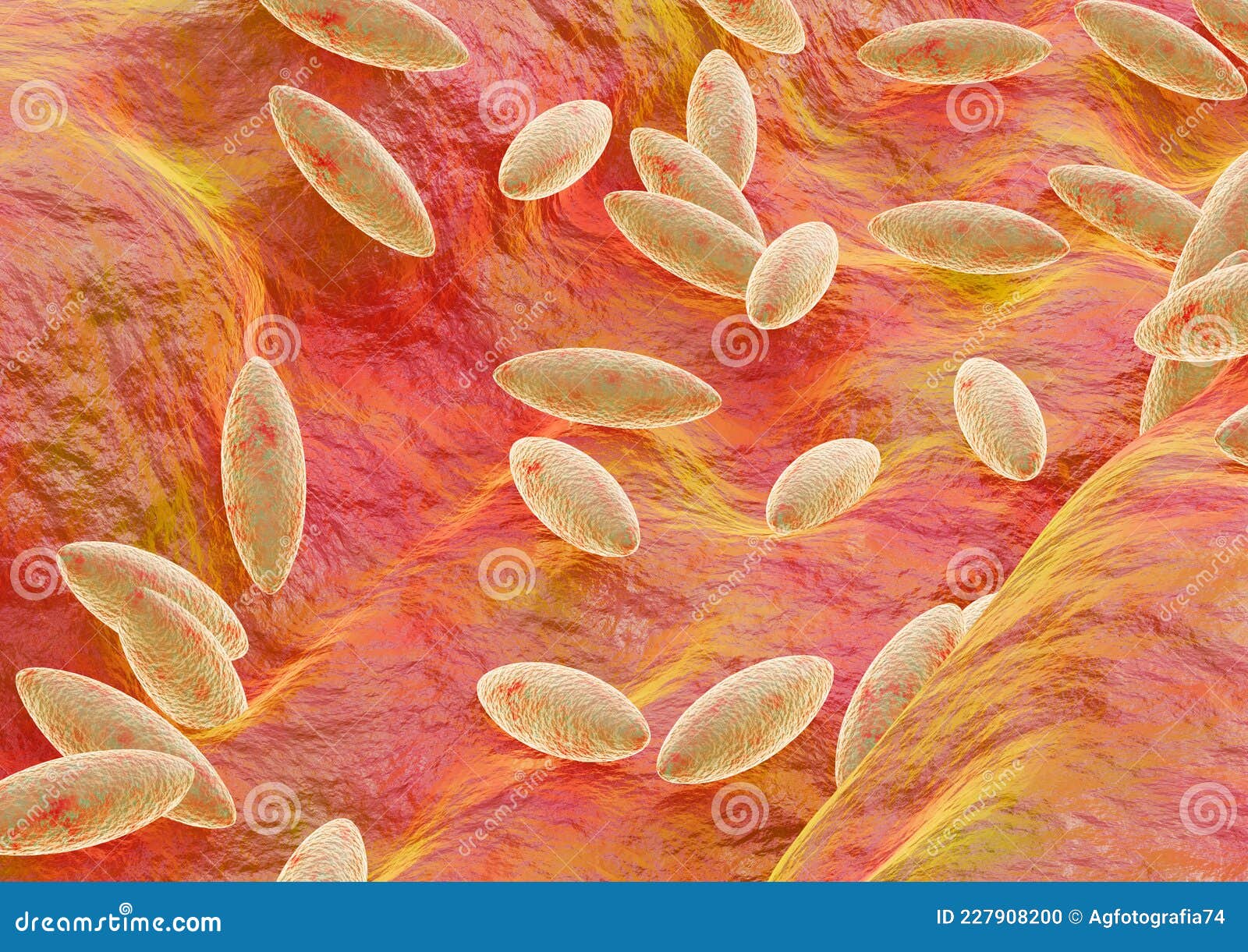 Brucella Bacteria is a Pathogen that Causes Brucellosis Zoonosis Stock ...