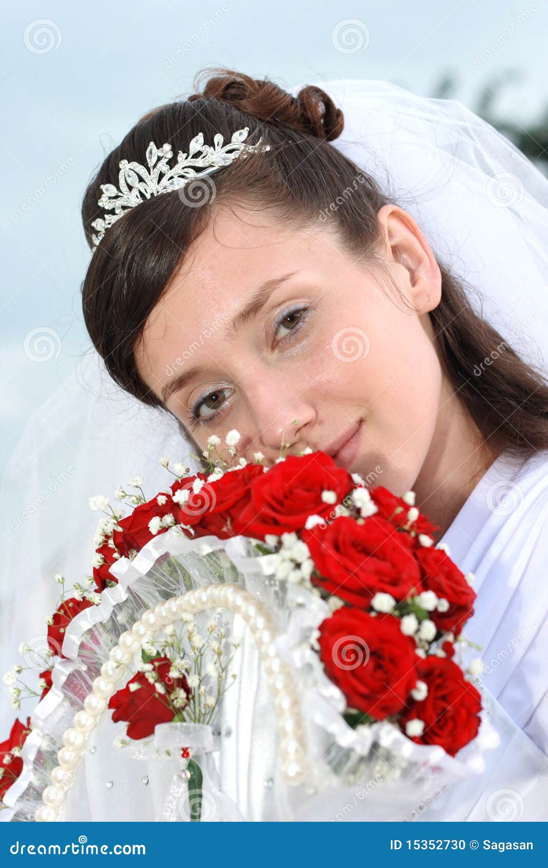 Brud arkivfoto. Bild av glamm, gift, klänning, folk, frisyr - 15352730