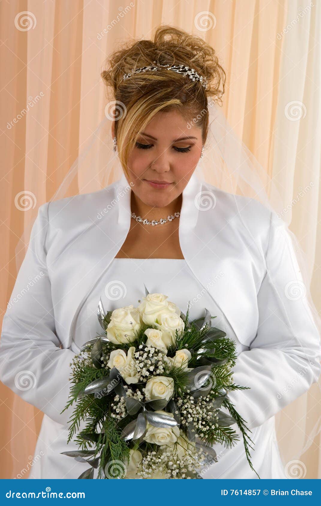 Brud fotografering för bildbyråer. Bild av klänning, ceremoni - 7614857