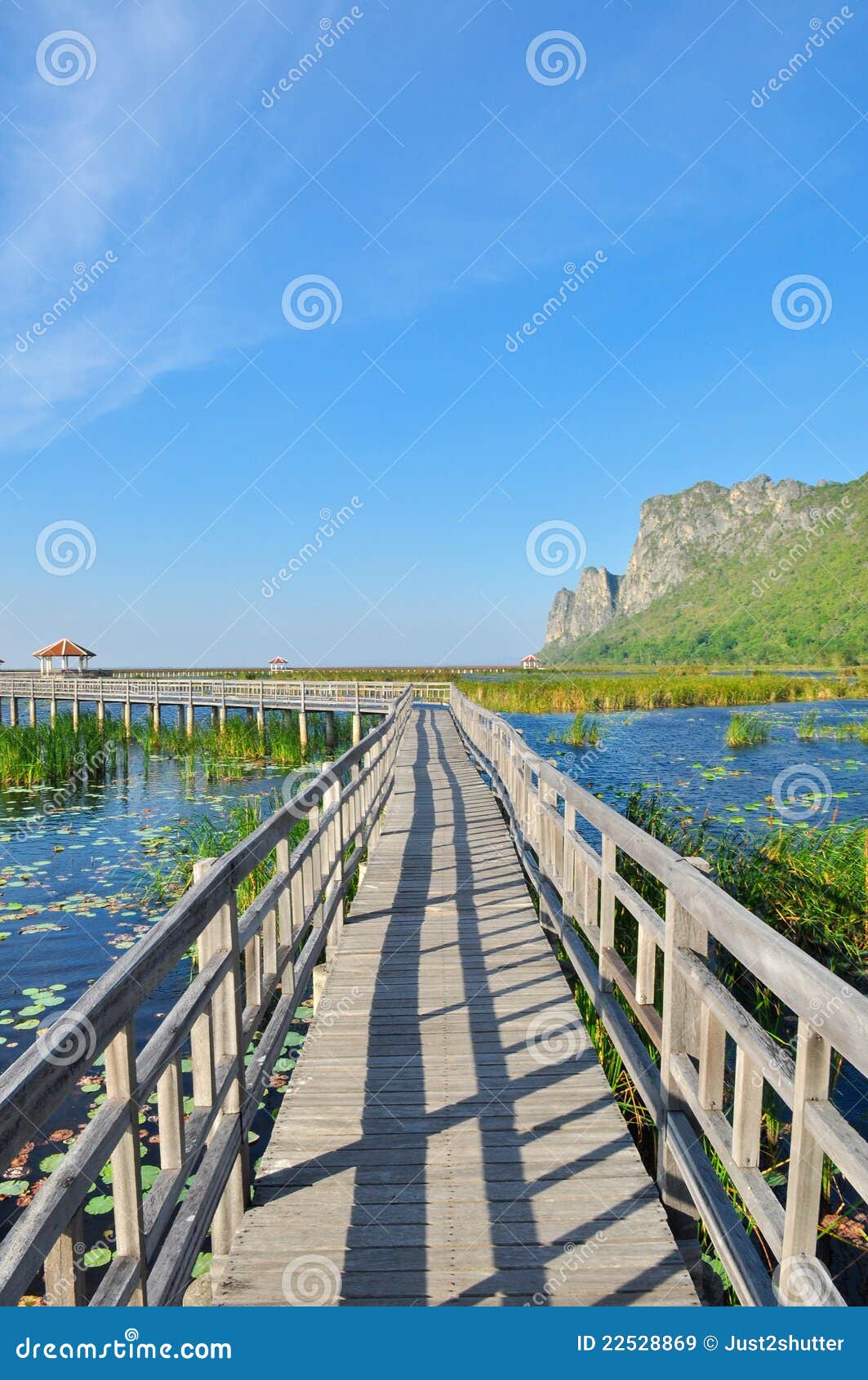 Brug Op Het Meer in Het Nationale Park Van SAM Roi Yod Stock Afbeelding - Image of bouw, naughty ...