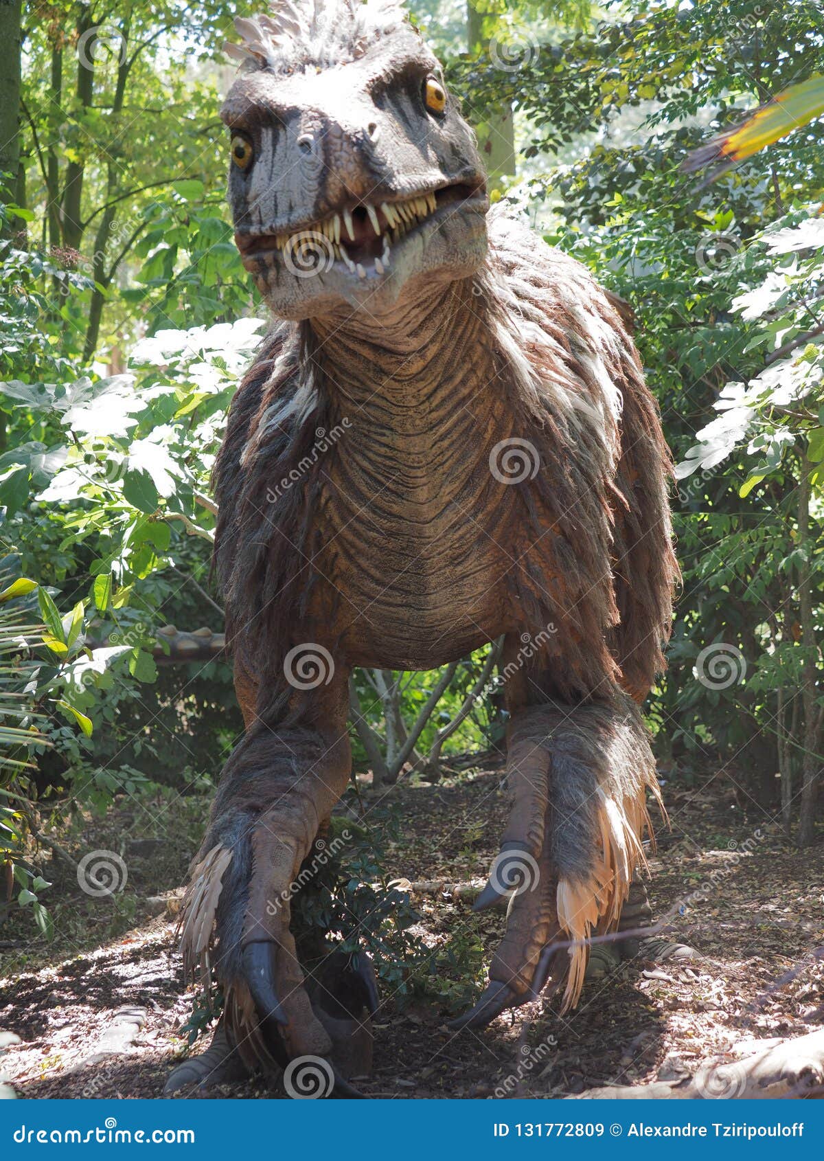 A Replica of an Utah Raptor Editorial Stock Image - Image of face ...