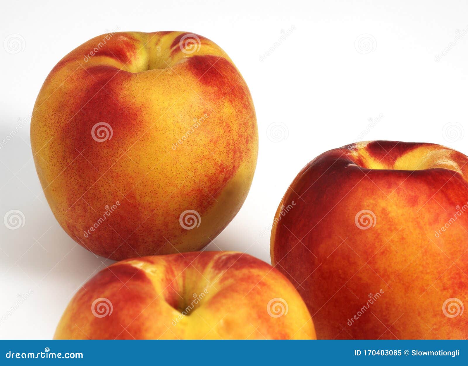 BRUGNON stock image. Image of botany, still, food, studio - 170403085