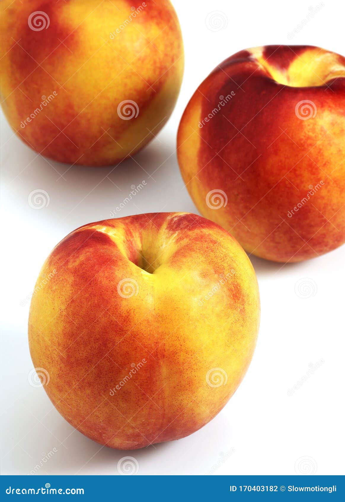 BRUGNON stock photo. Image of life, botany, studio, fruit - 170403182