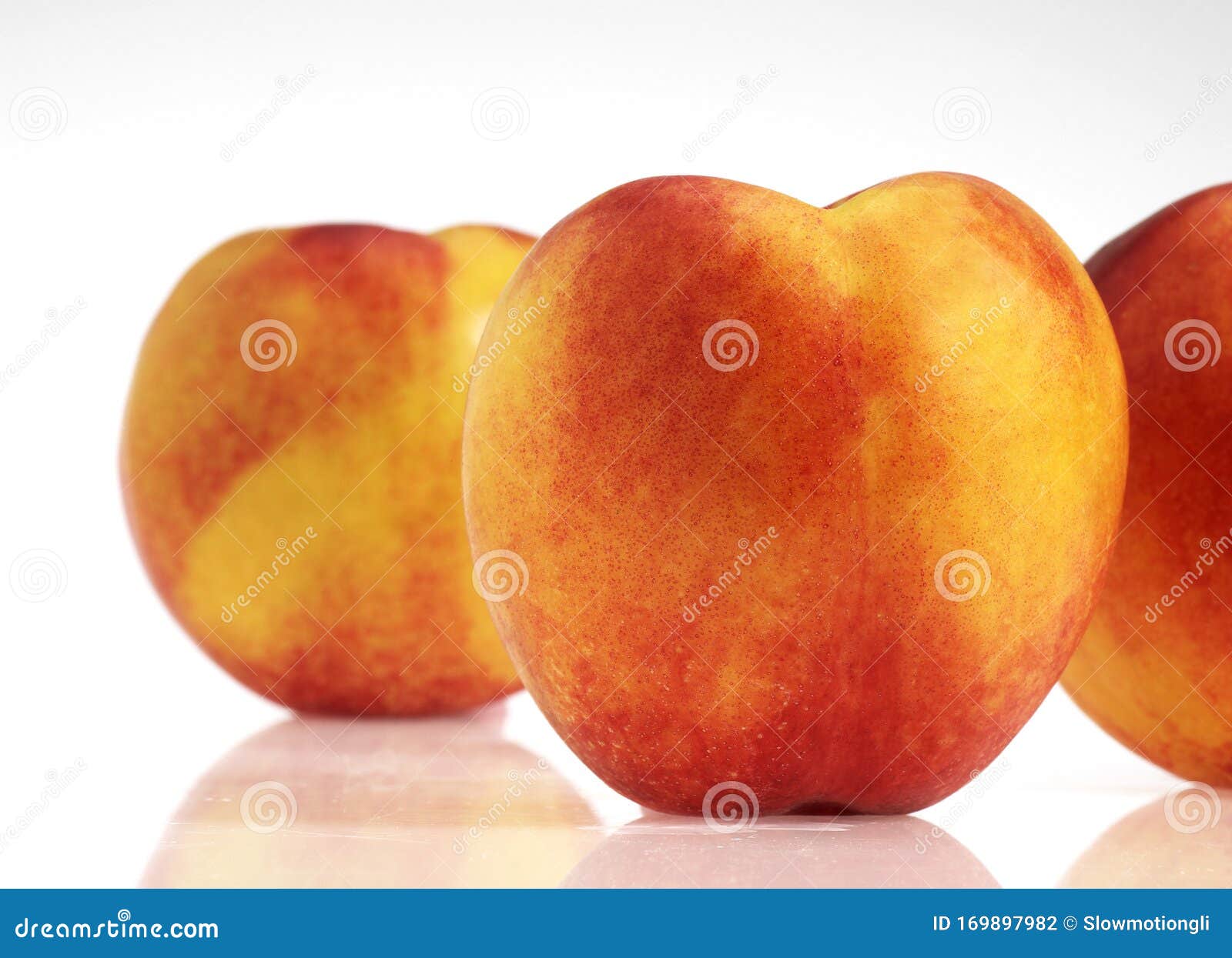 BRUGNON stock photo. Image of nectarine, botany, prunus - 169897982