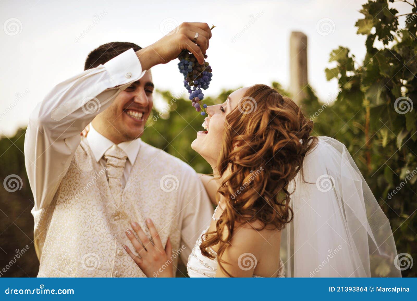 Bruid en bruidegom stock foto. Image of rond, paar, bruid - 21393864