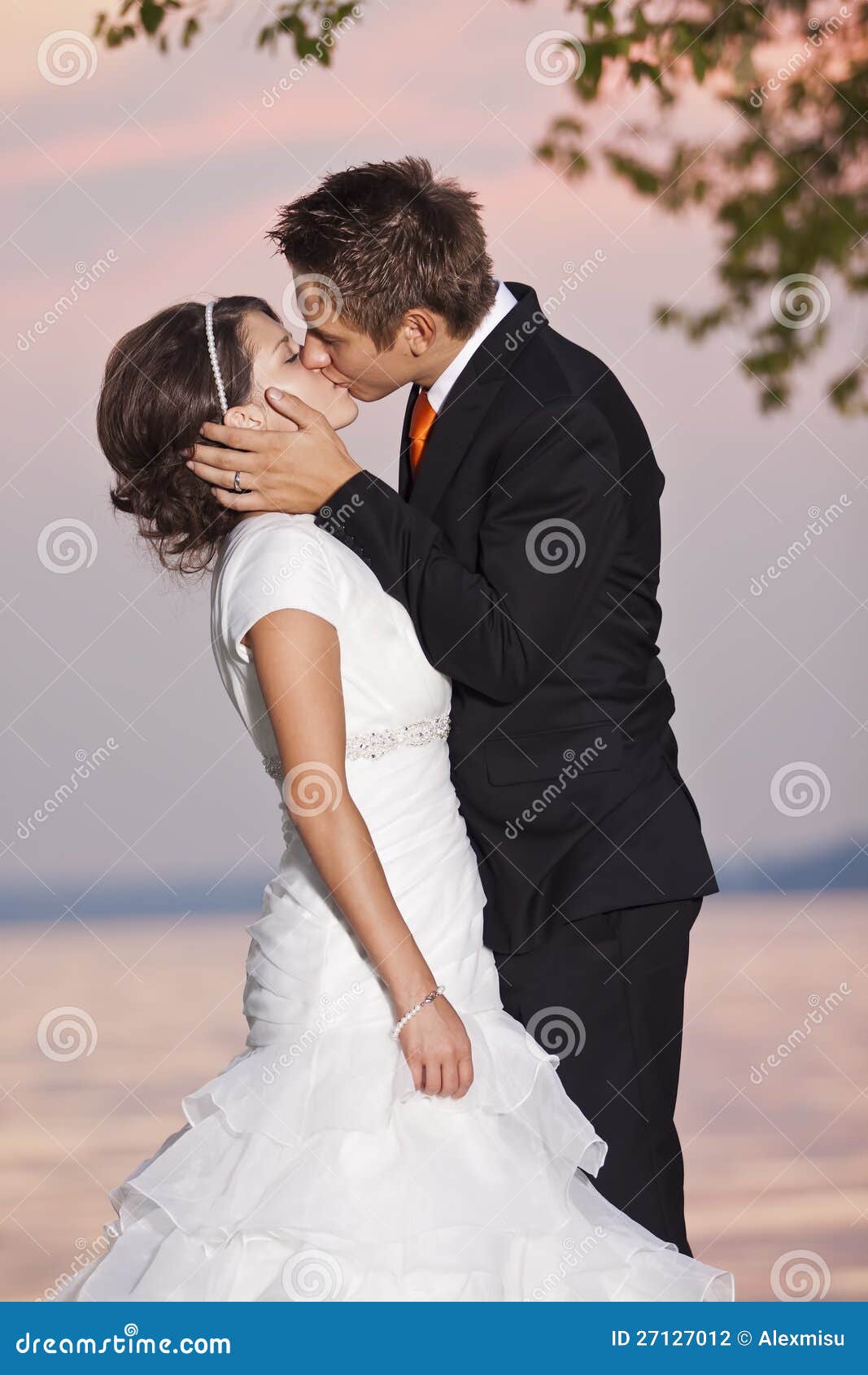 Bruid en bruidegom stock foto. Image of oceaan, romantisch - 27127012