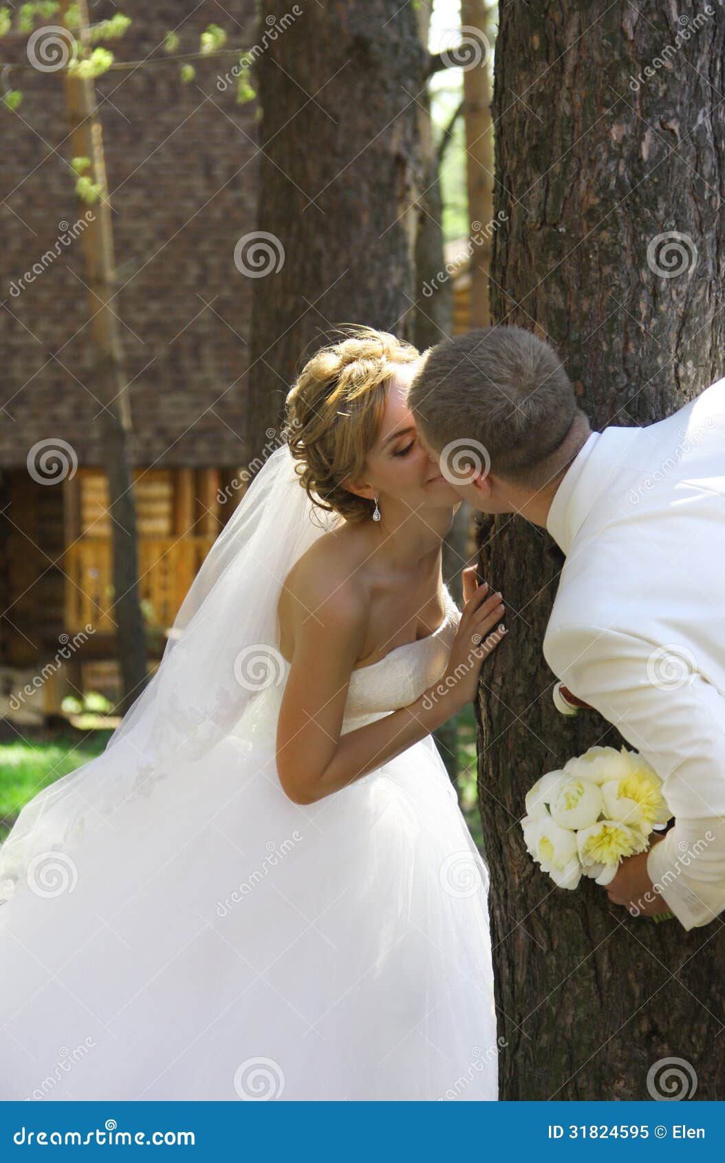 Bruid en bruidegom, kus stock afbeelding. Image of paar - 31824595