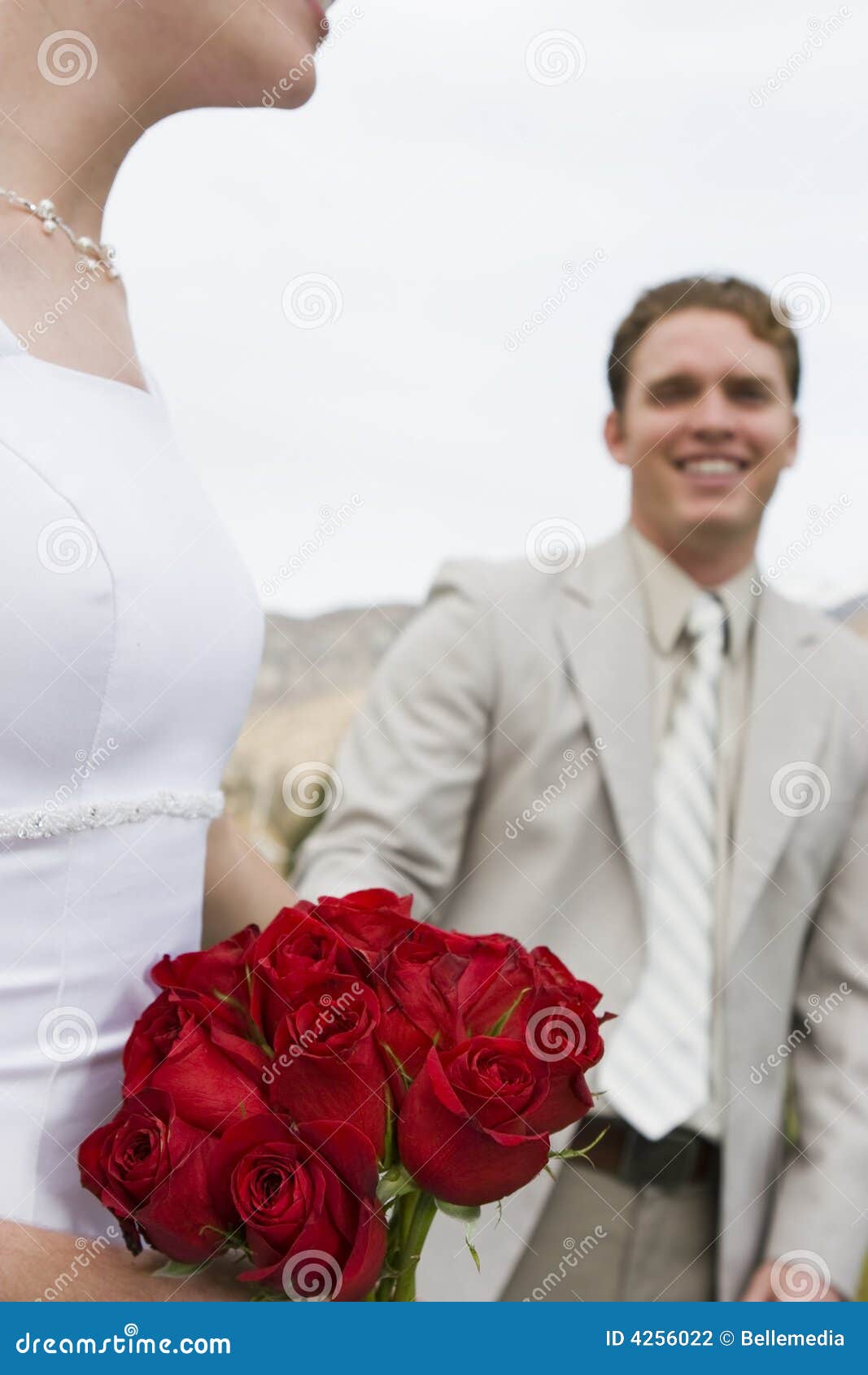Bruidegom En Bruid Picture. Image: 4256022