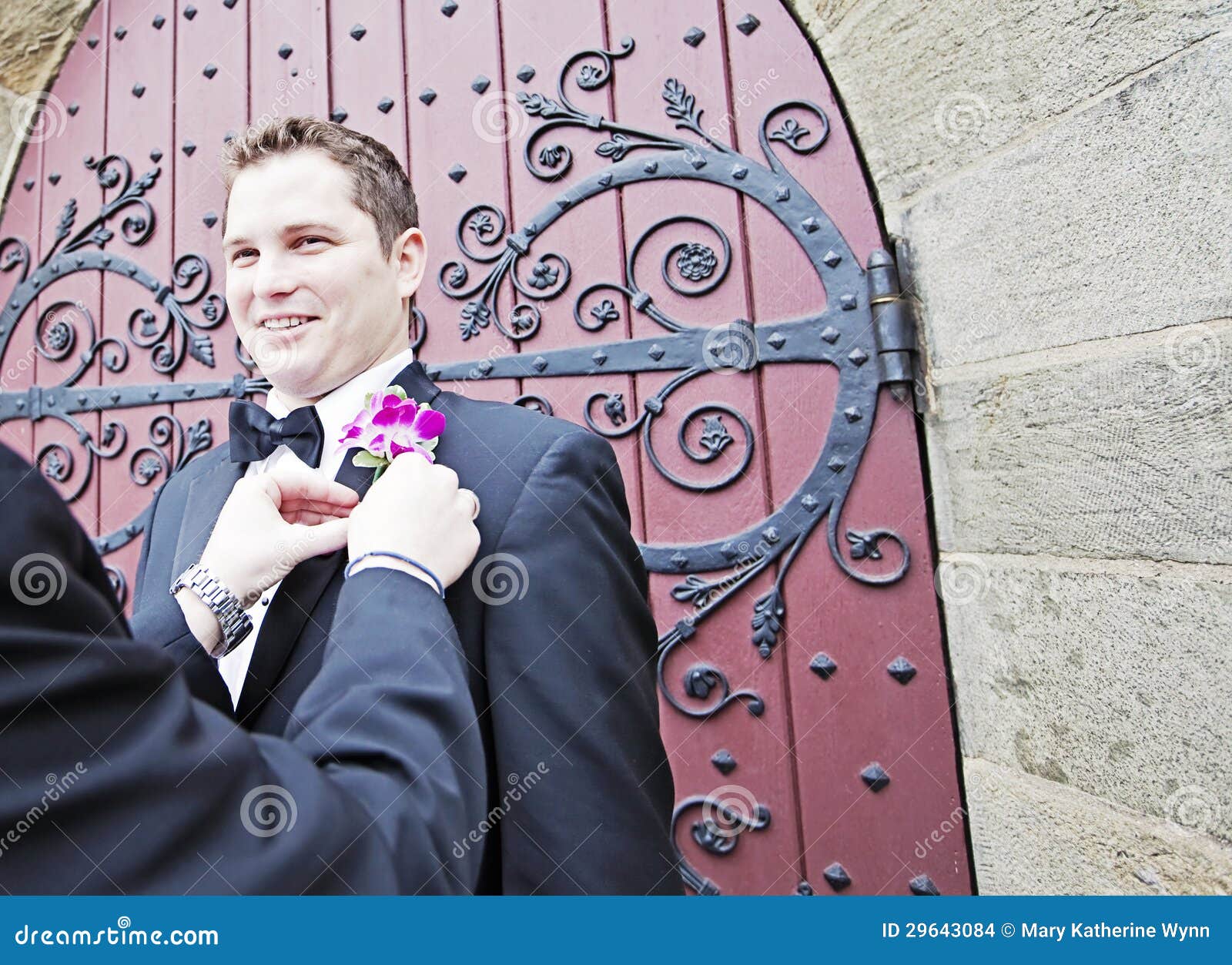 Bruidegom met boutonniere stock foto. Image of orchidee - 29643084