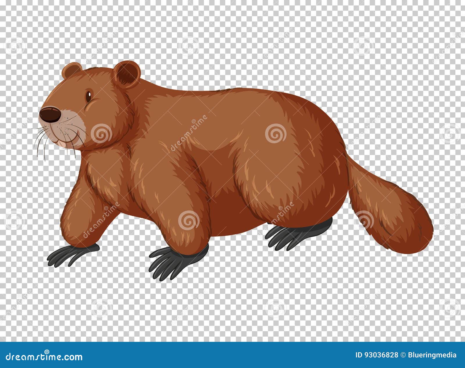Bruine Bever Op Transparante Achtergrond Vector Illustratie ...
