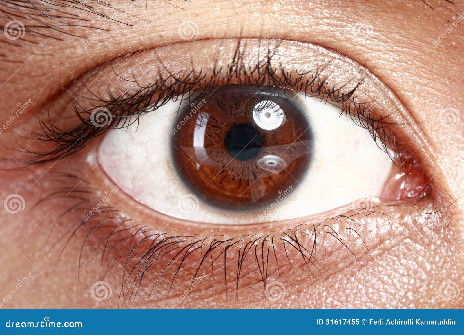 Bruine Ogen Van Een Jonge Mens Stock Afbeelding - Image of opticien ...