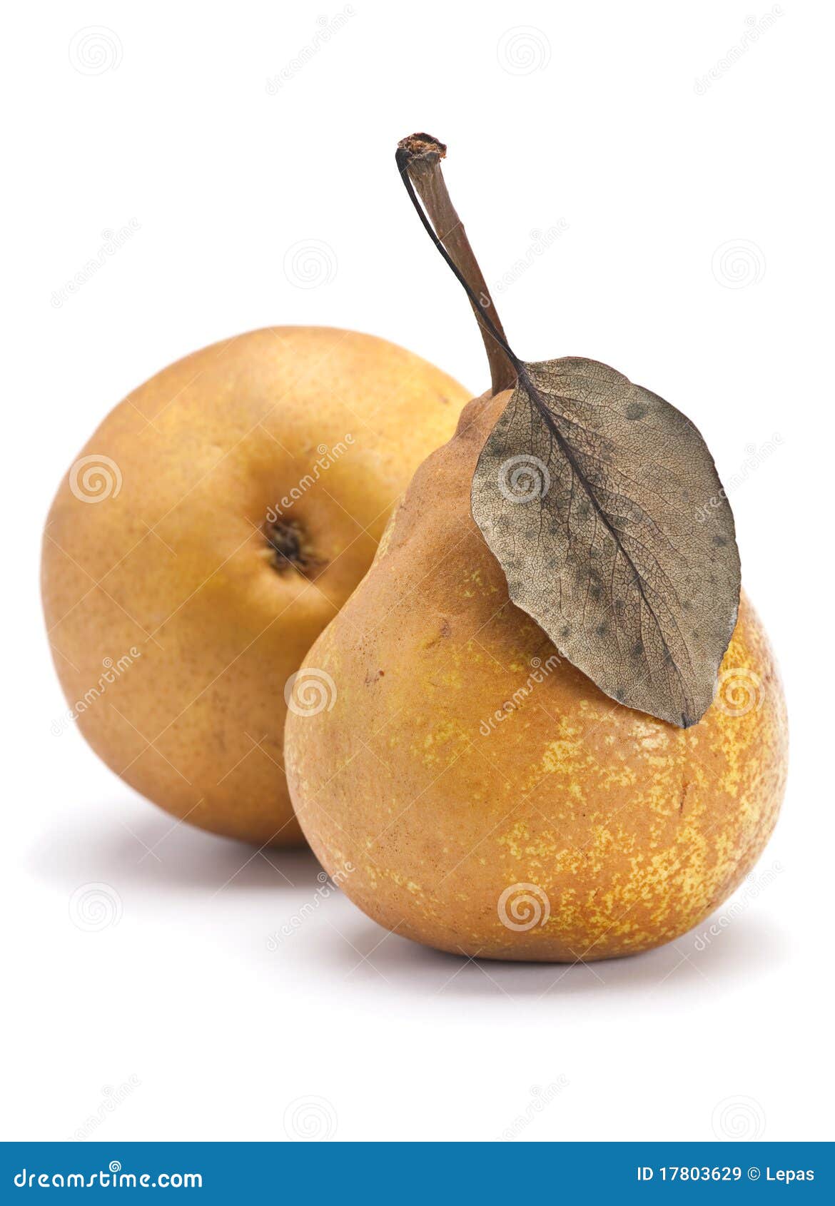 Bruine peer stock afbeelding. Image of vrucht, niemand - 17803629