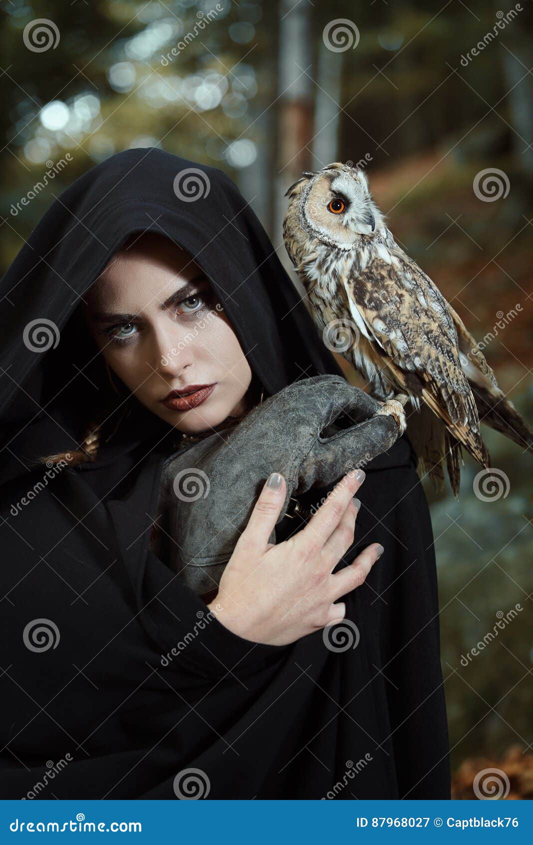 Bruja Del Bosque Con Su Amigo Del Búho Imagen de archivo - Imagen de ...