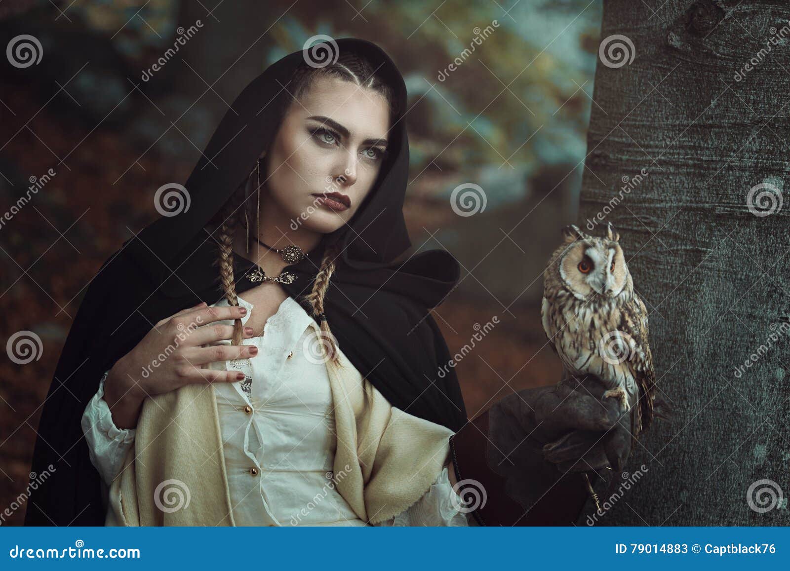 Bruja Del Bosque Con Su Búho Imagen de archivo - Imagen de despredador ...