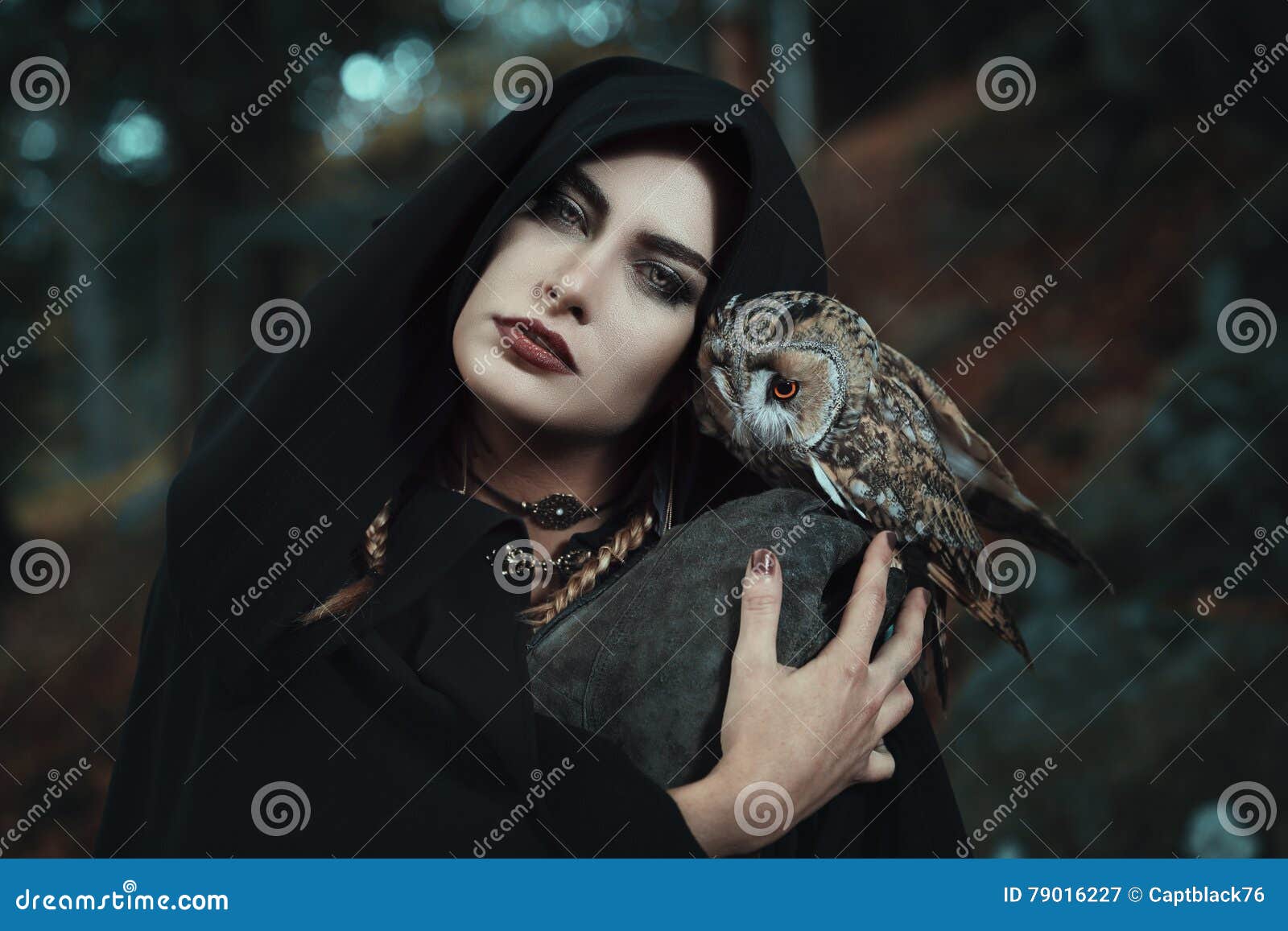 Bruja Oscura Del Bosque Con Su Búho Imagen de archivo - Imagen de ...