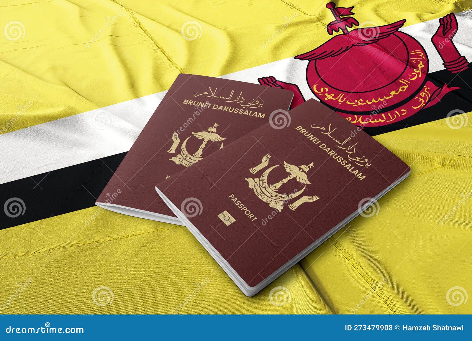 Brunei Passport on Its Flag, Dar Es Salaam Brunei Stock Photo - Image ...