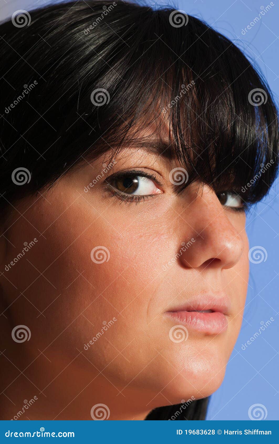 Brunette stock photo. Image of head, attractive, closeup - 19683628