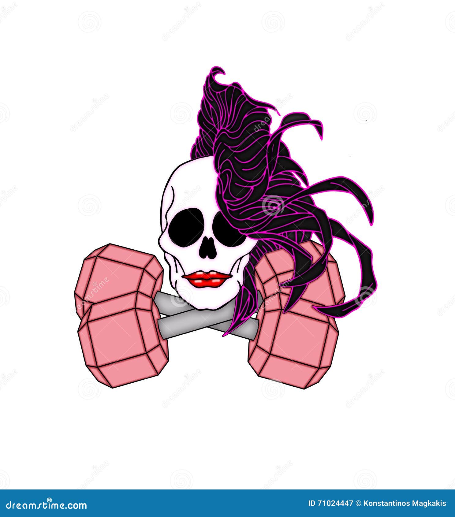 Female Skull / Cranium Anatomy Royalty-Free Stock Photo | CartoonDealer ...