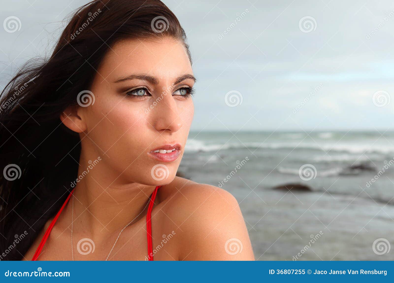 Brunette Gazing into the Distance Stock Image - Image of ocean, gazing ...