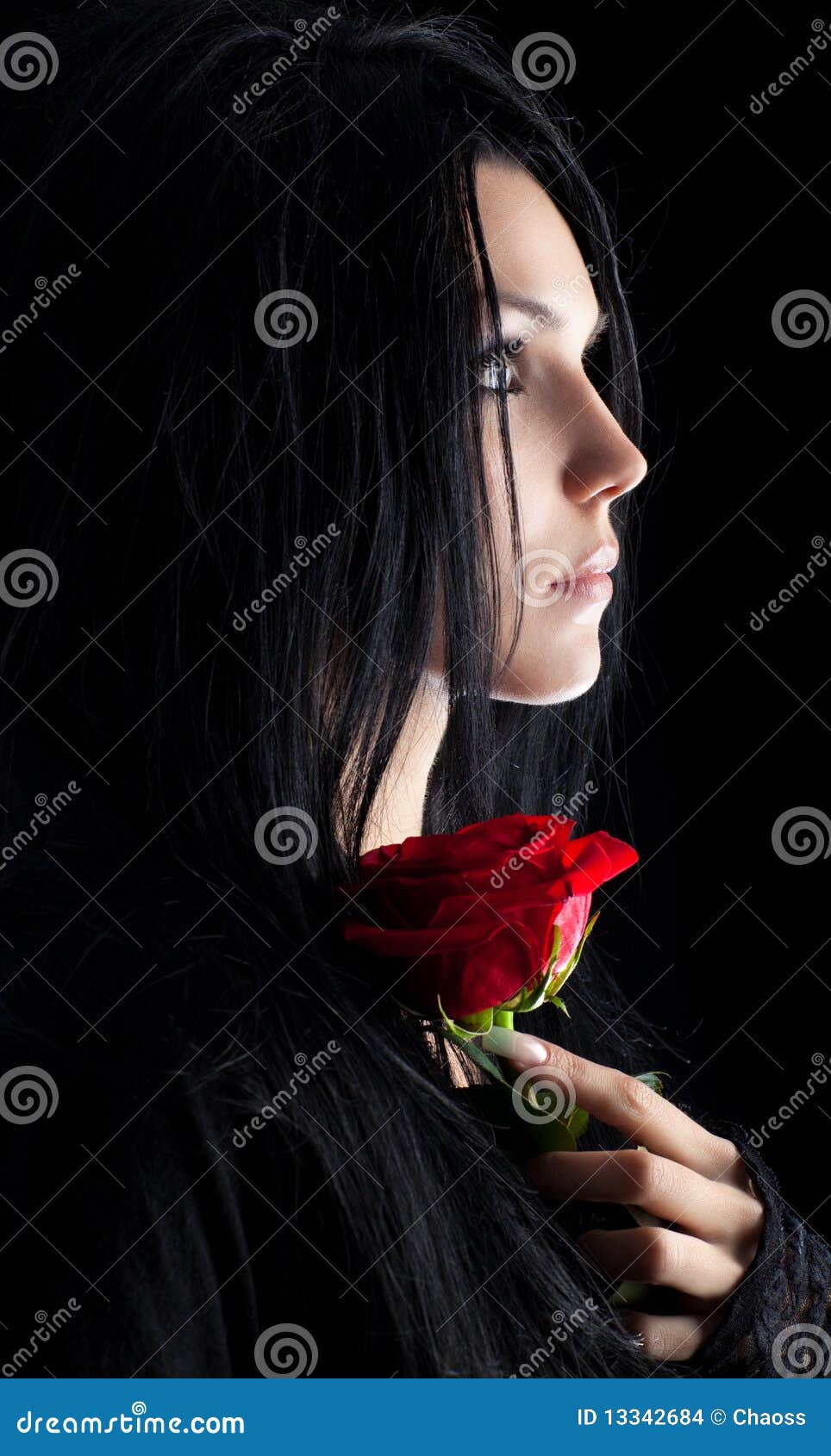 Brunette Goth Woman with Rose Portrait Stock Photo - Image of model ...