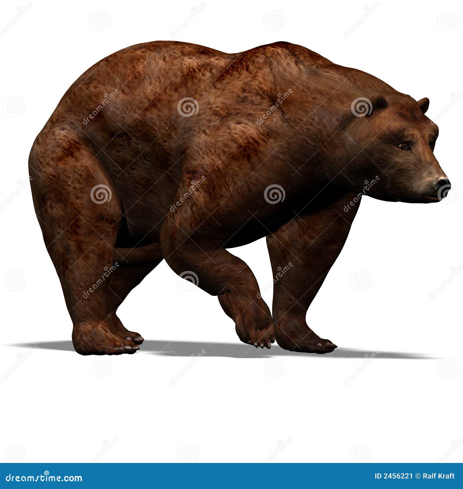Bruno the bear #1 stock illustration. Illustration of europe - 2456221