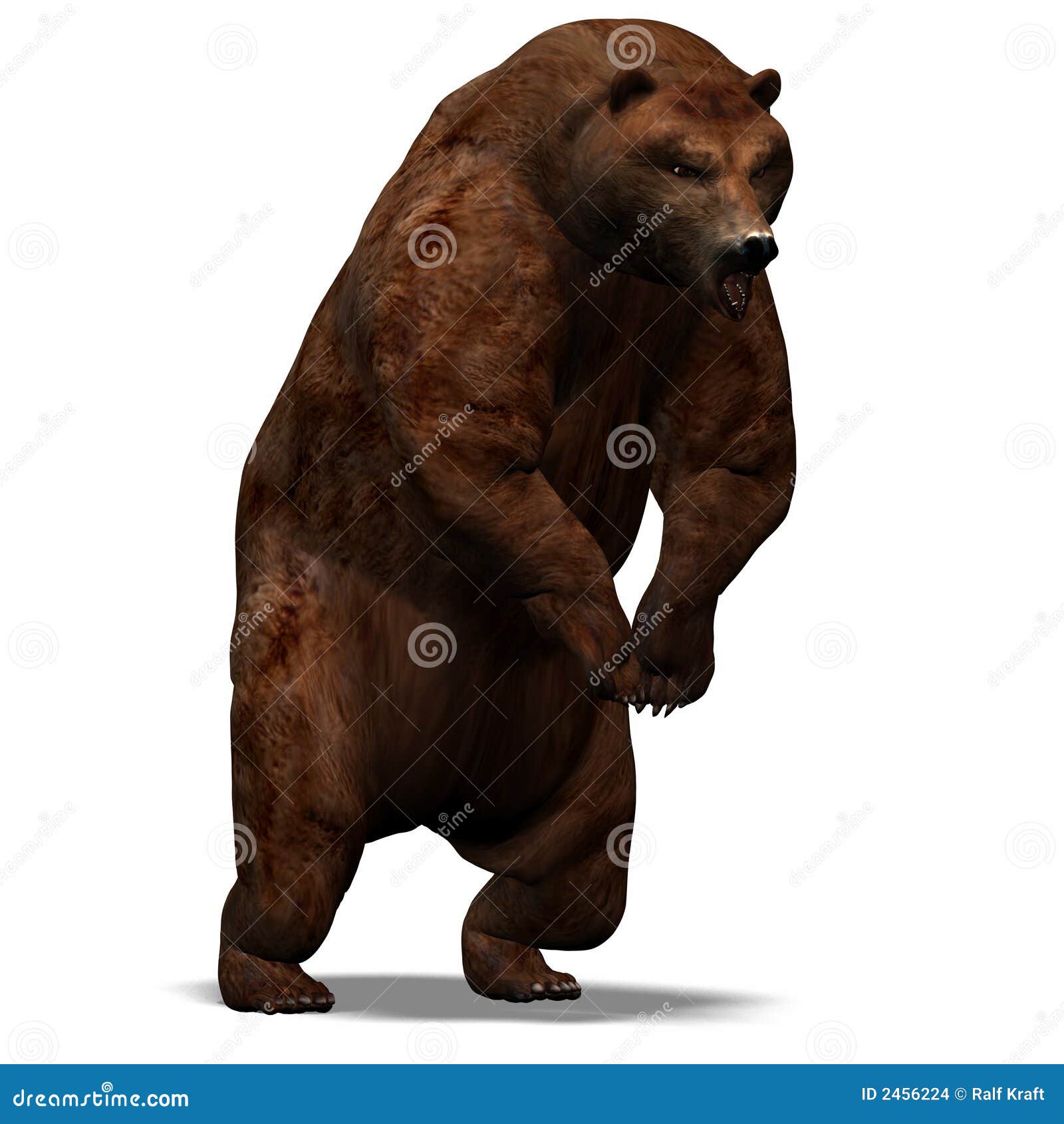 Bruno the bear #2 stock illustration. Illustration of strength - 2456224